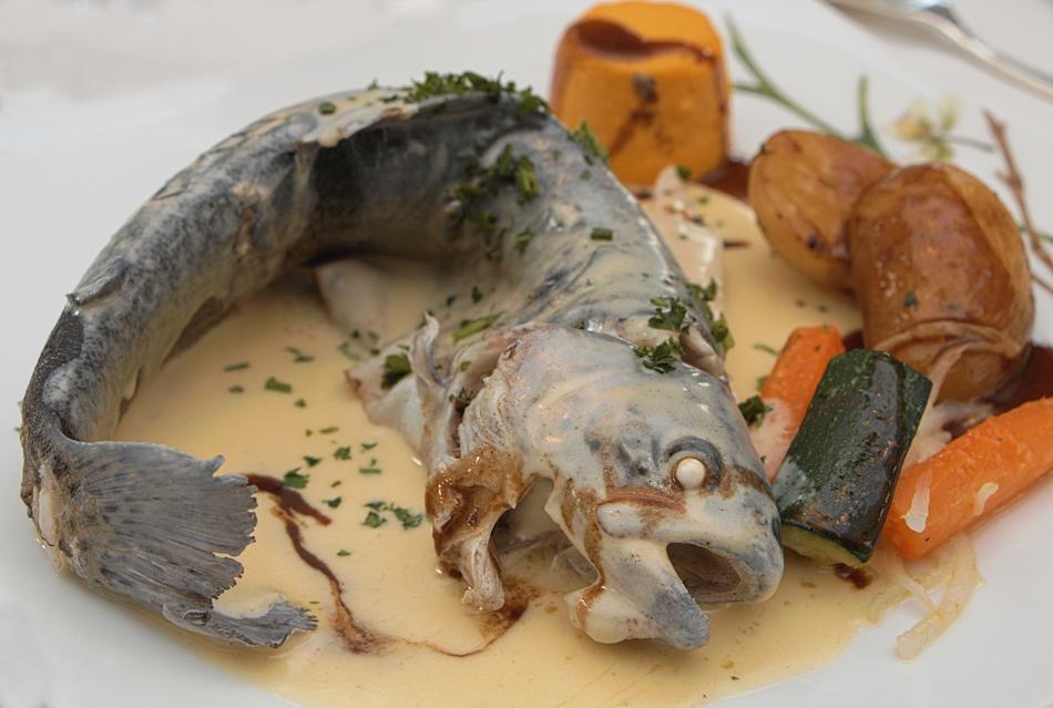 Kitchen Gastronomy Blue Trout fish free image download