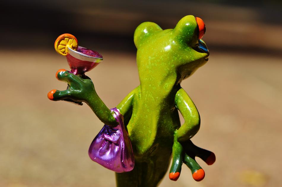 Frog Chick Lady free image download