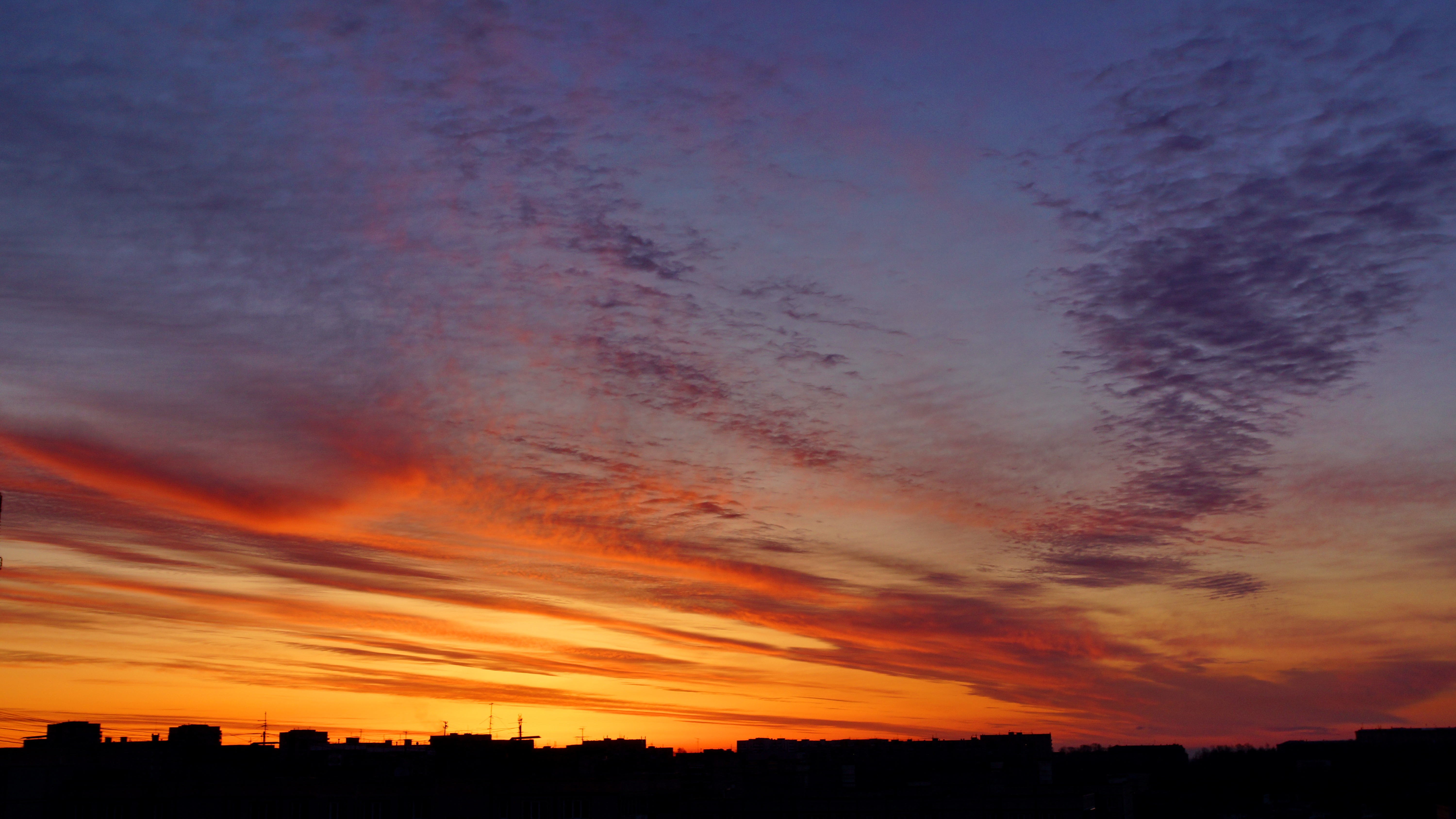 Languid romantic morning free image download