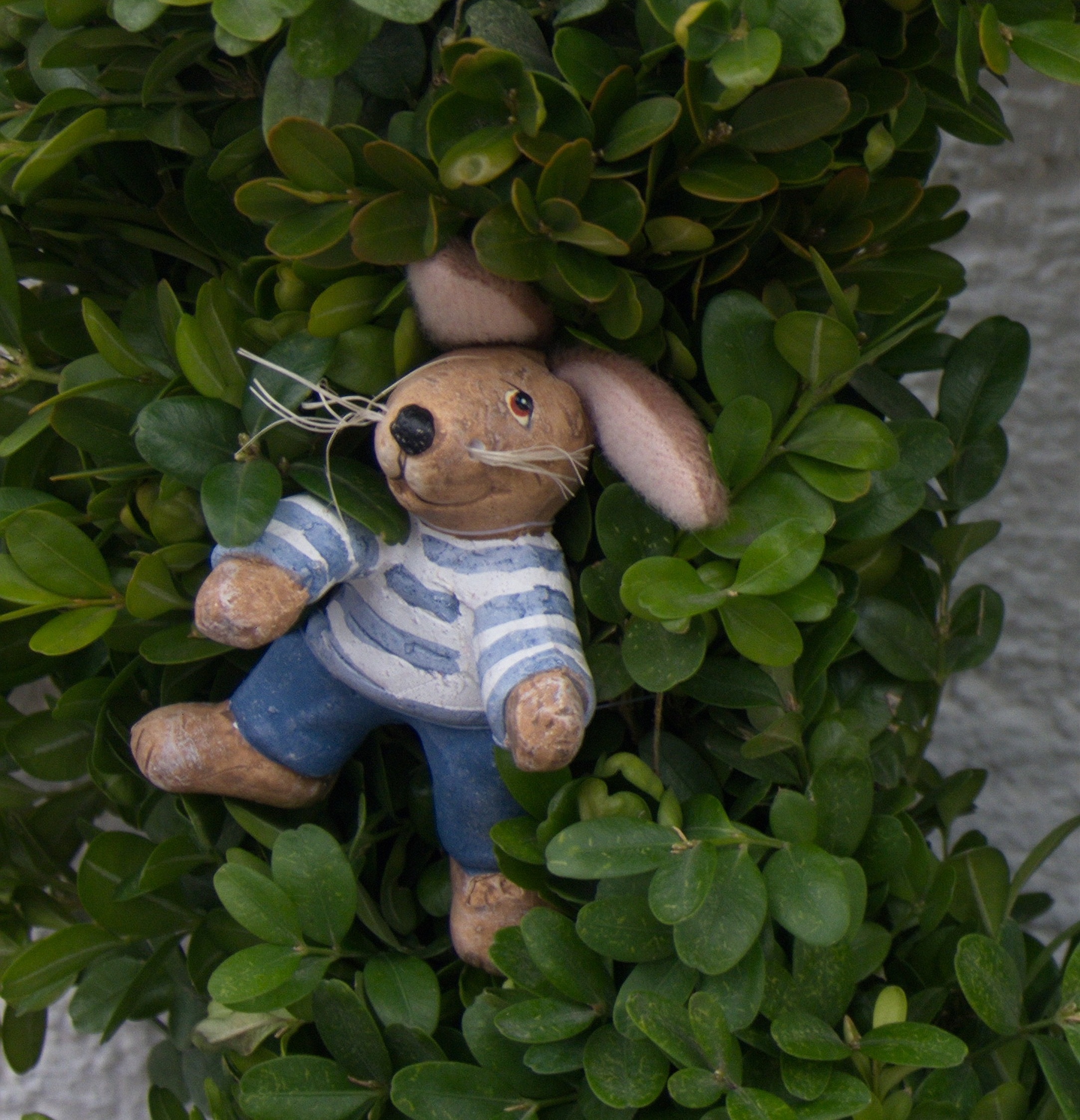 Easter Bunny Hare free image download