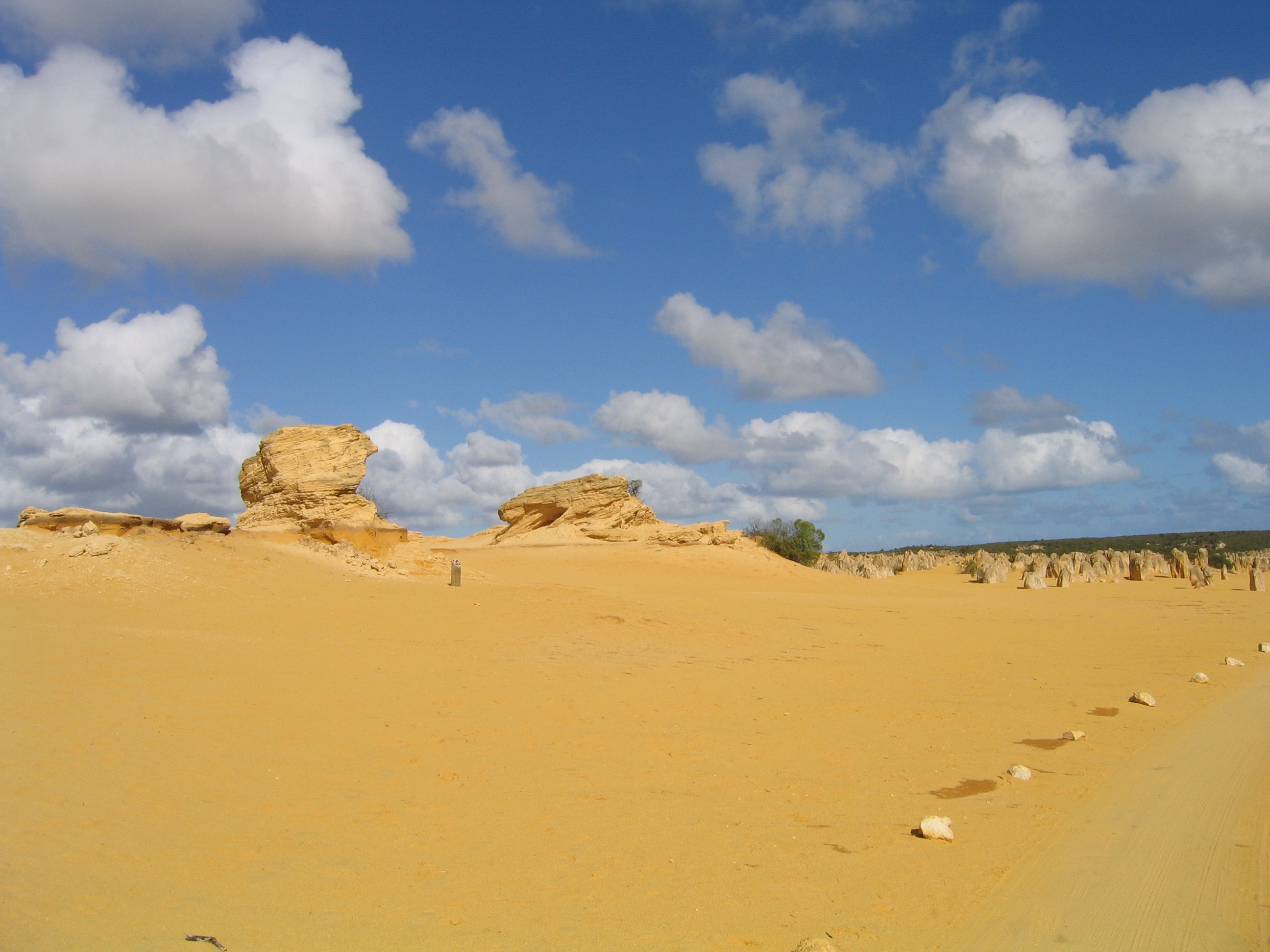 Pinnacles Desert Australia free image download