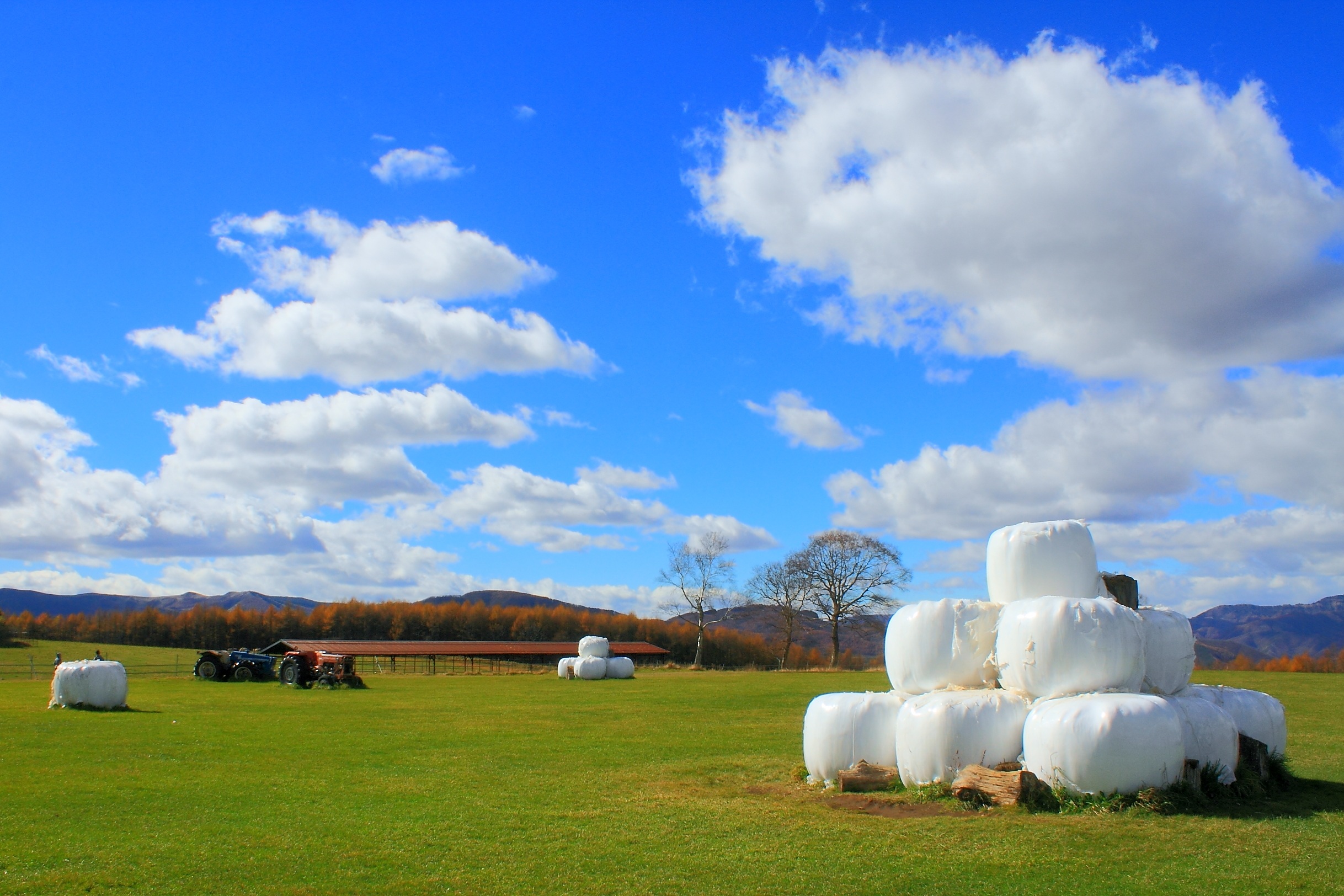 Blue Sky Pasture Ranch free image download