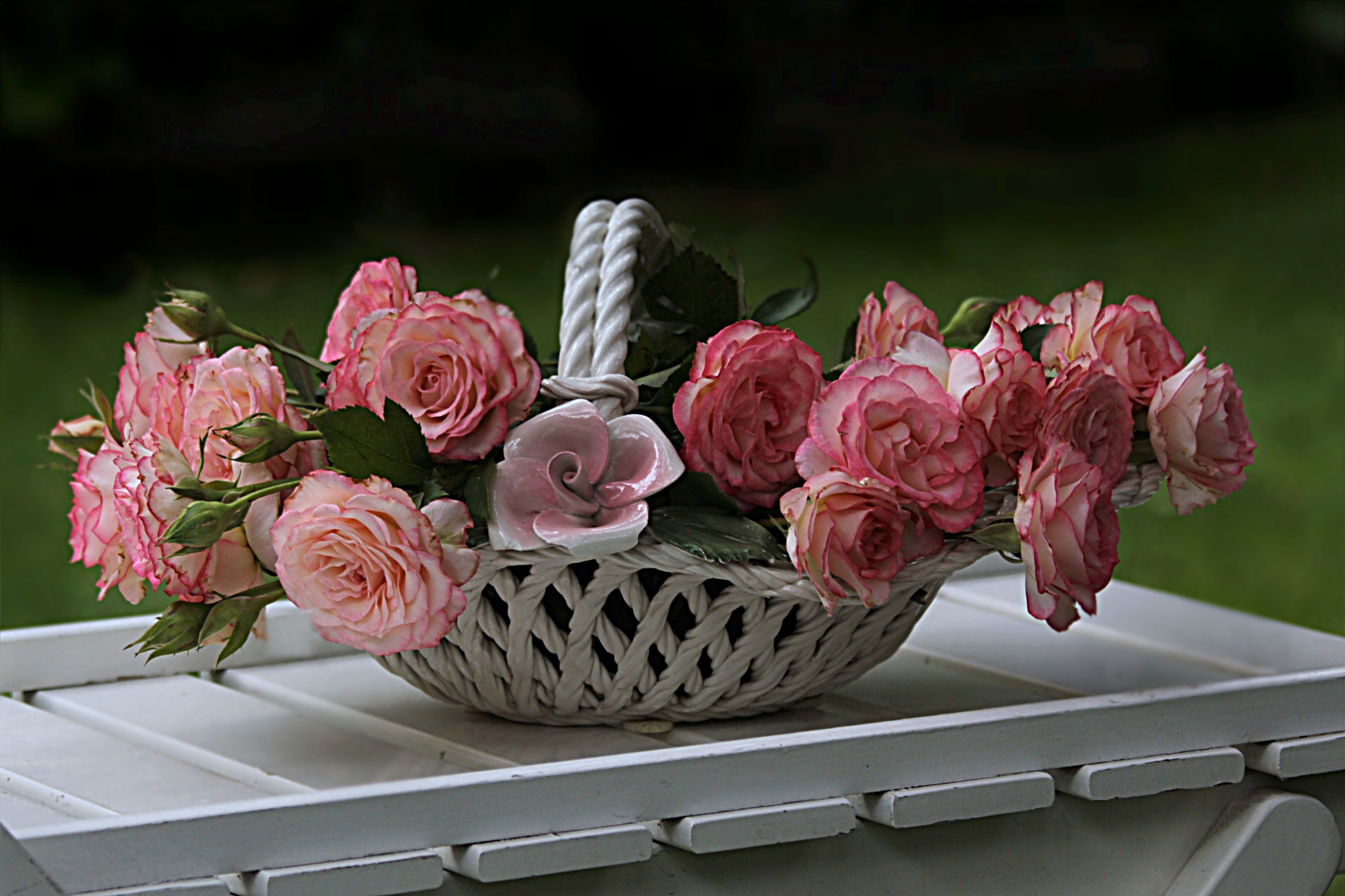 Still Life Roses Pink free image download