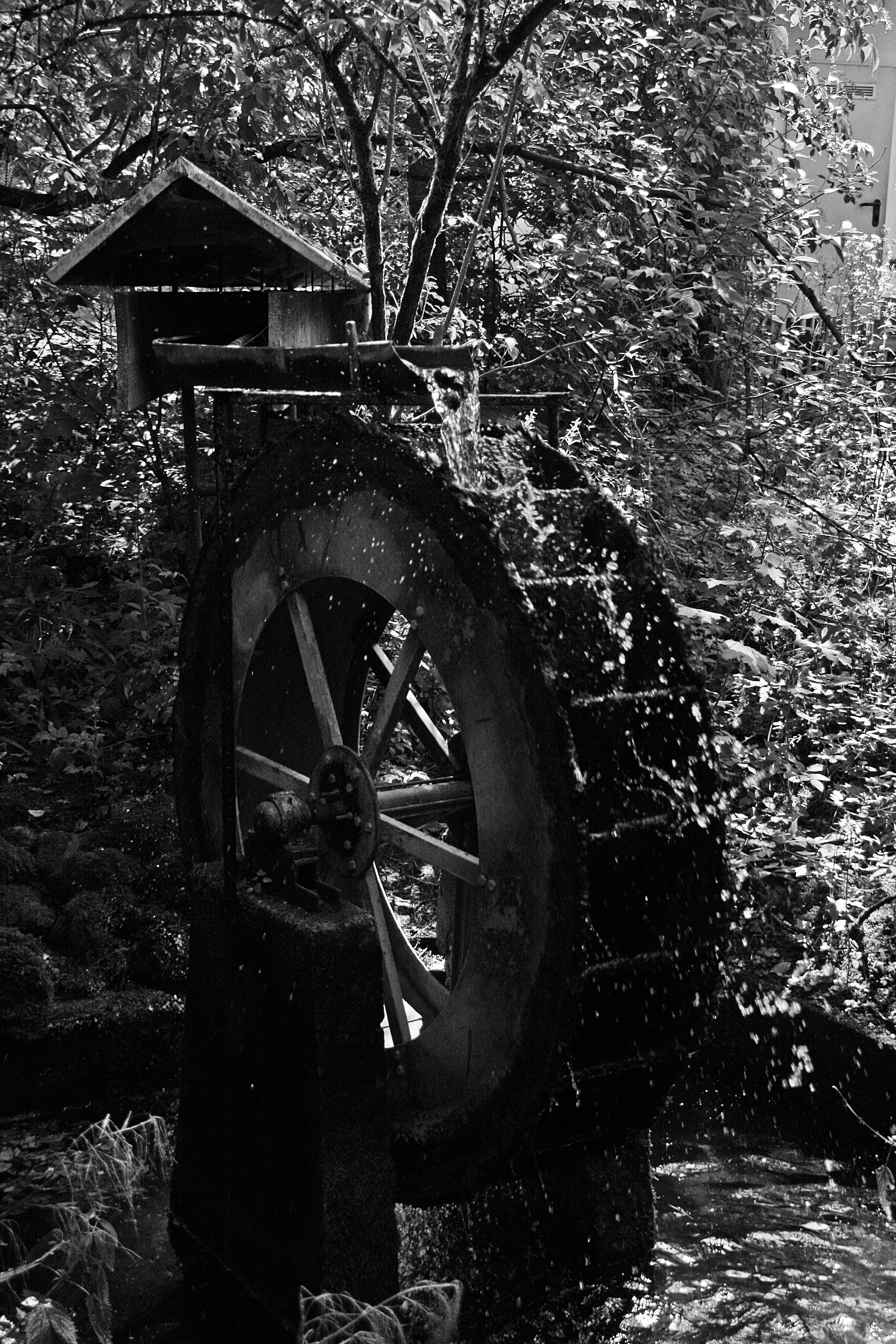 Mill Wheel Water Waterwheel free image download