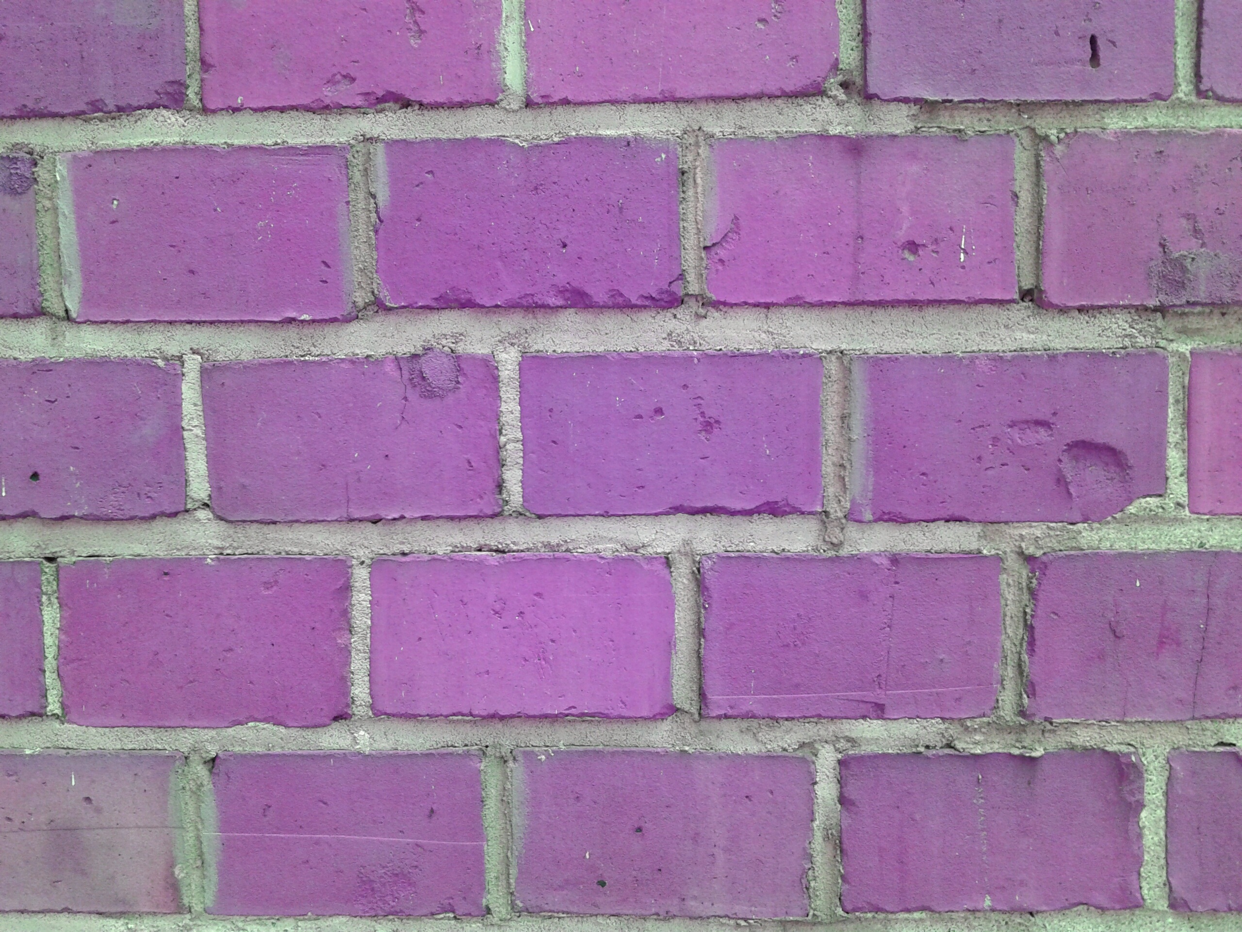 Lake Dusia Wall free image download