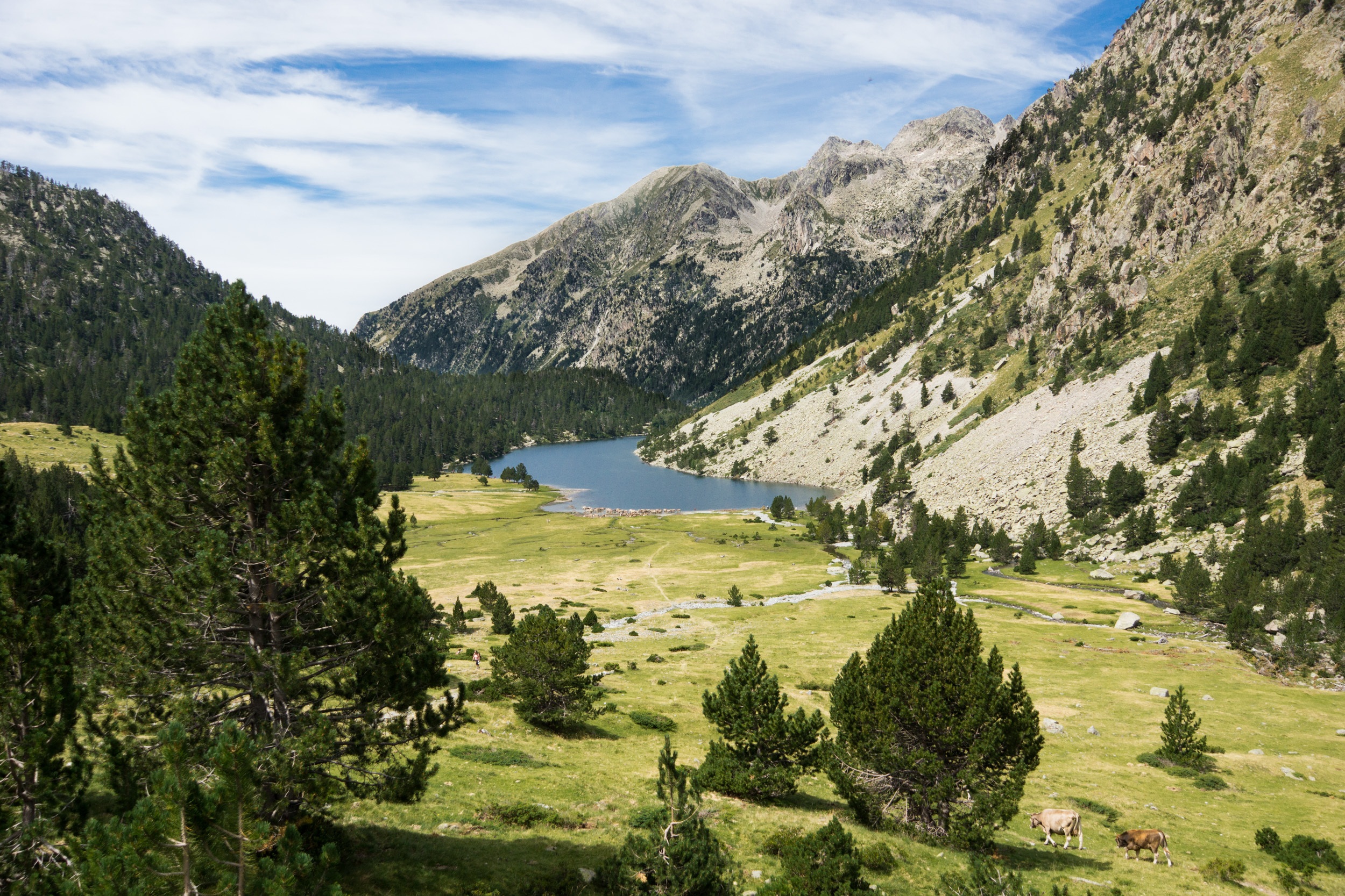 Pyrenees Lleida free image download