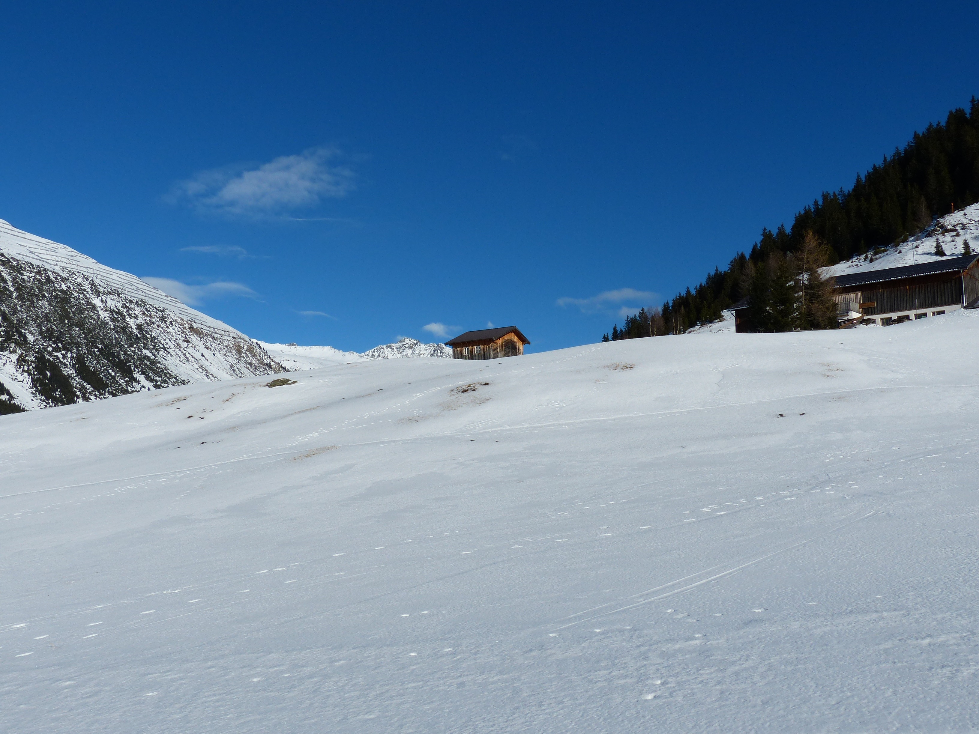 Snowfield Winter free image download
