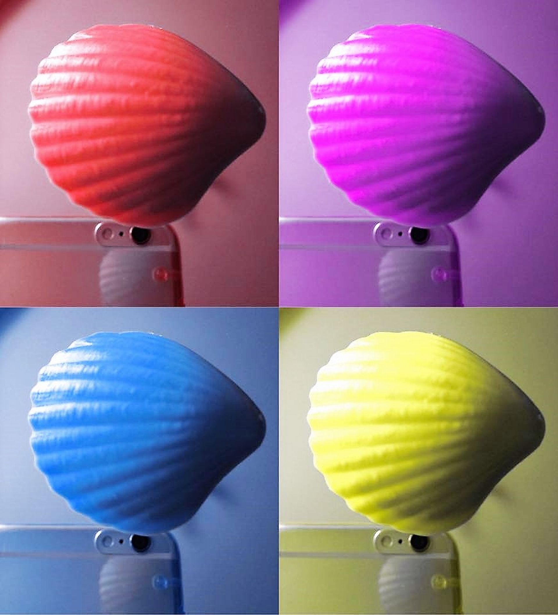 Selfie Shell Colorful free image download