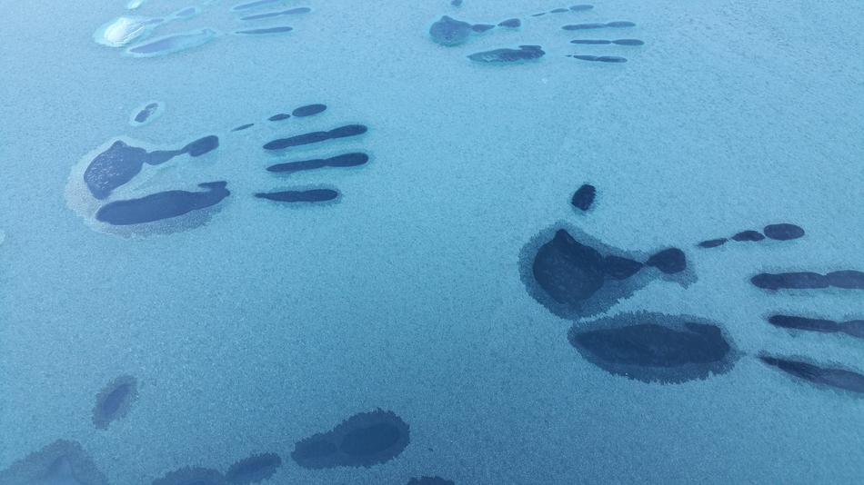 Hand Print Frost Winter free image download