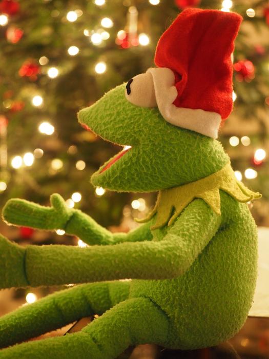 Kermit the frog in a Christmas hat free image download