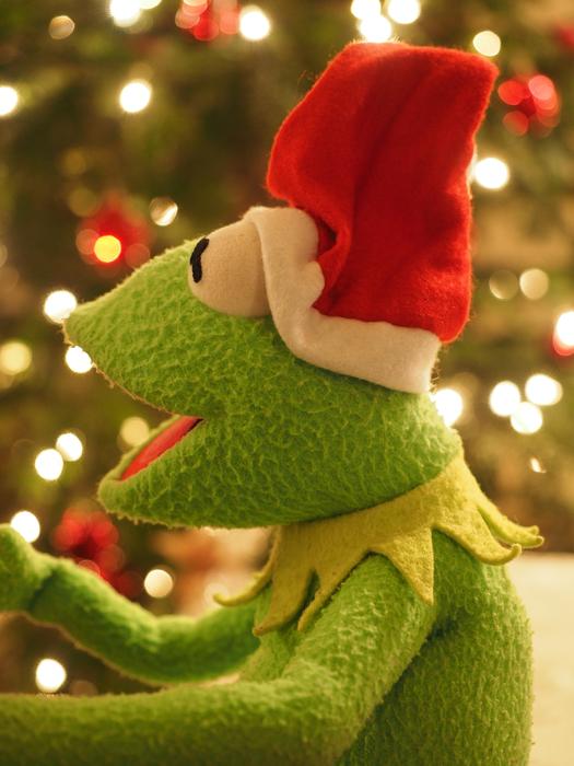 Kermit Frog Christmas free image download