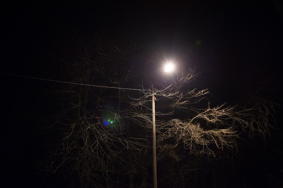 Tree Post Power Lines free image download