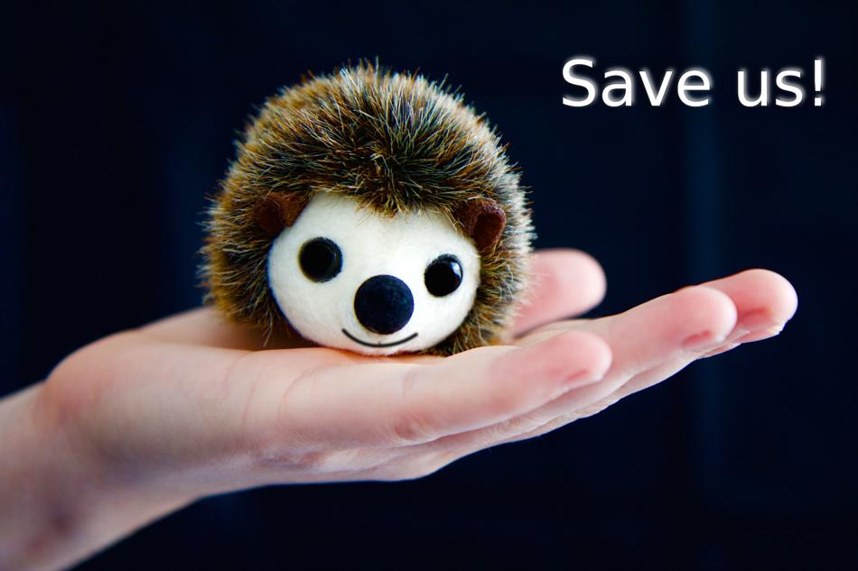 Hand hedgehog protection protect free image download