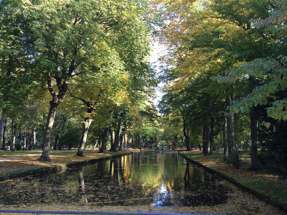 Channel with bridges in park at fall, germany, Bayreuth free image download