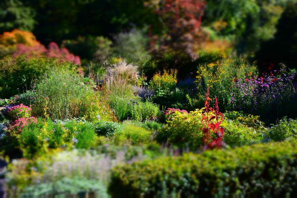 Karl Forster Lower Garden free image download
