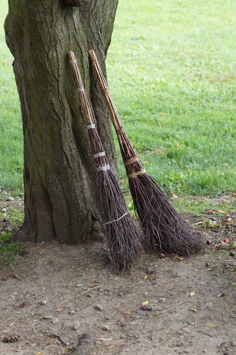 Brooms Tree free image download