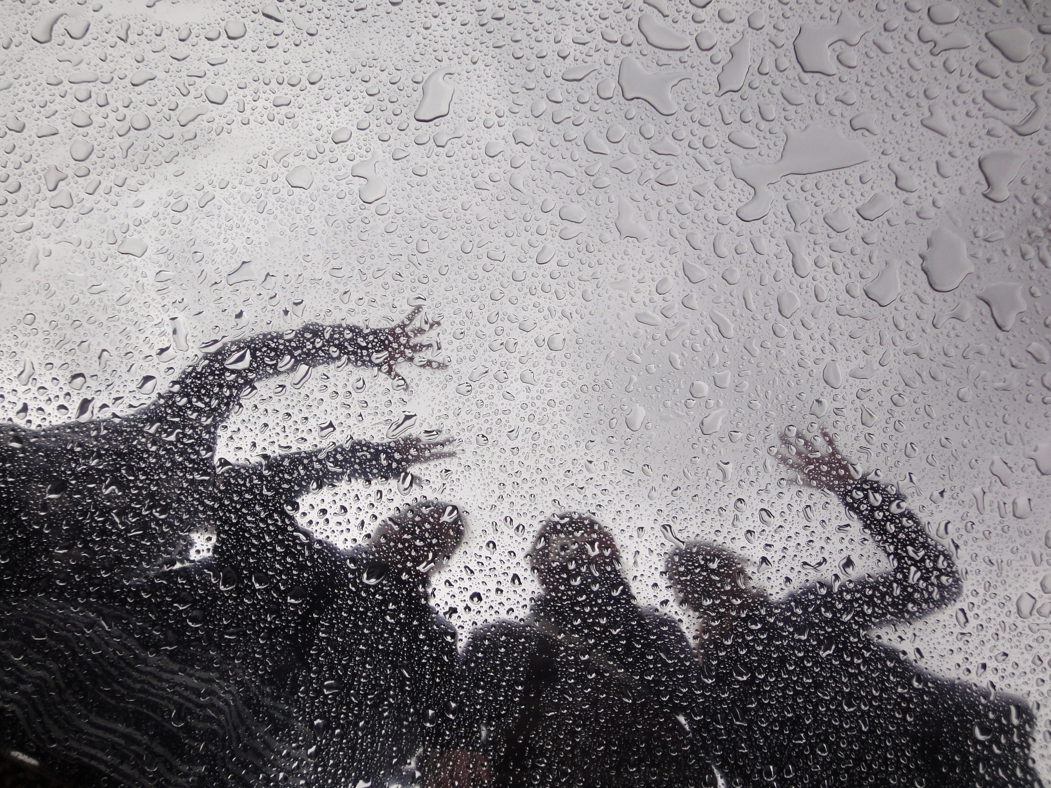 Rain Drip Raindrop free image download