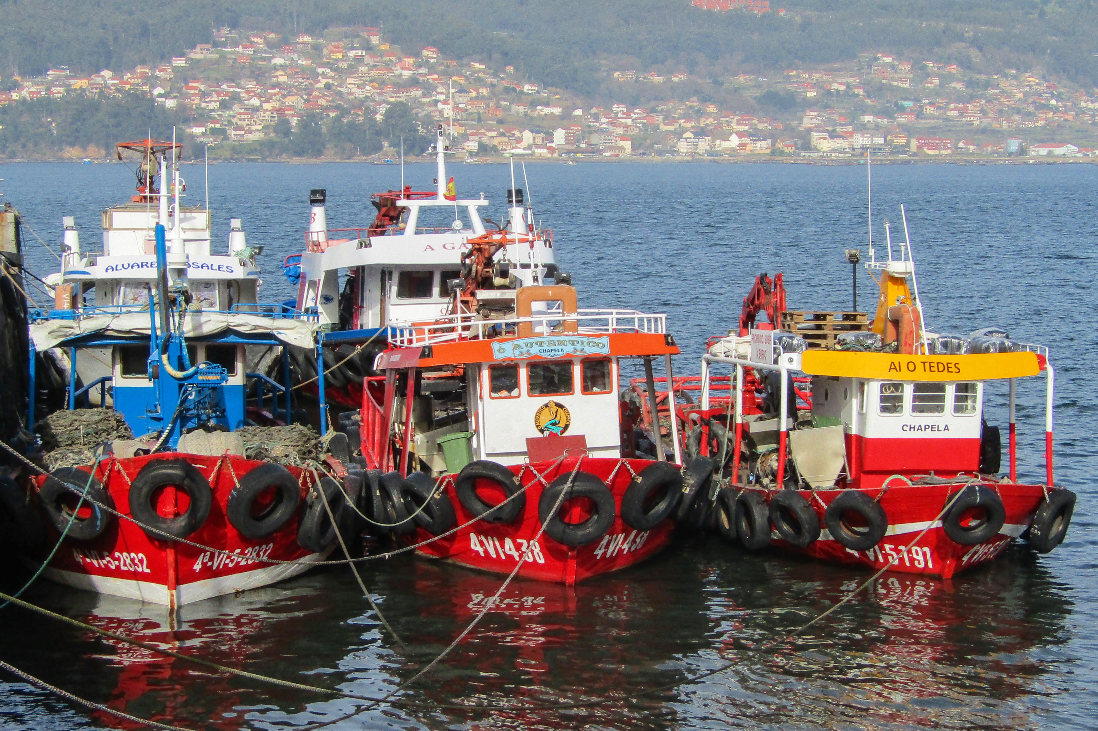 Spain Galicia Boats free image download