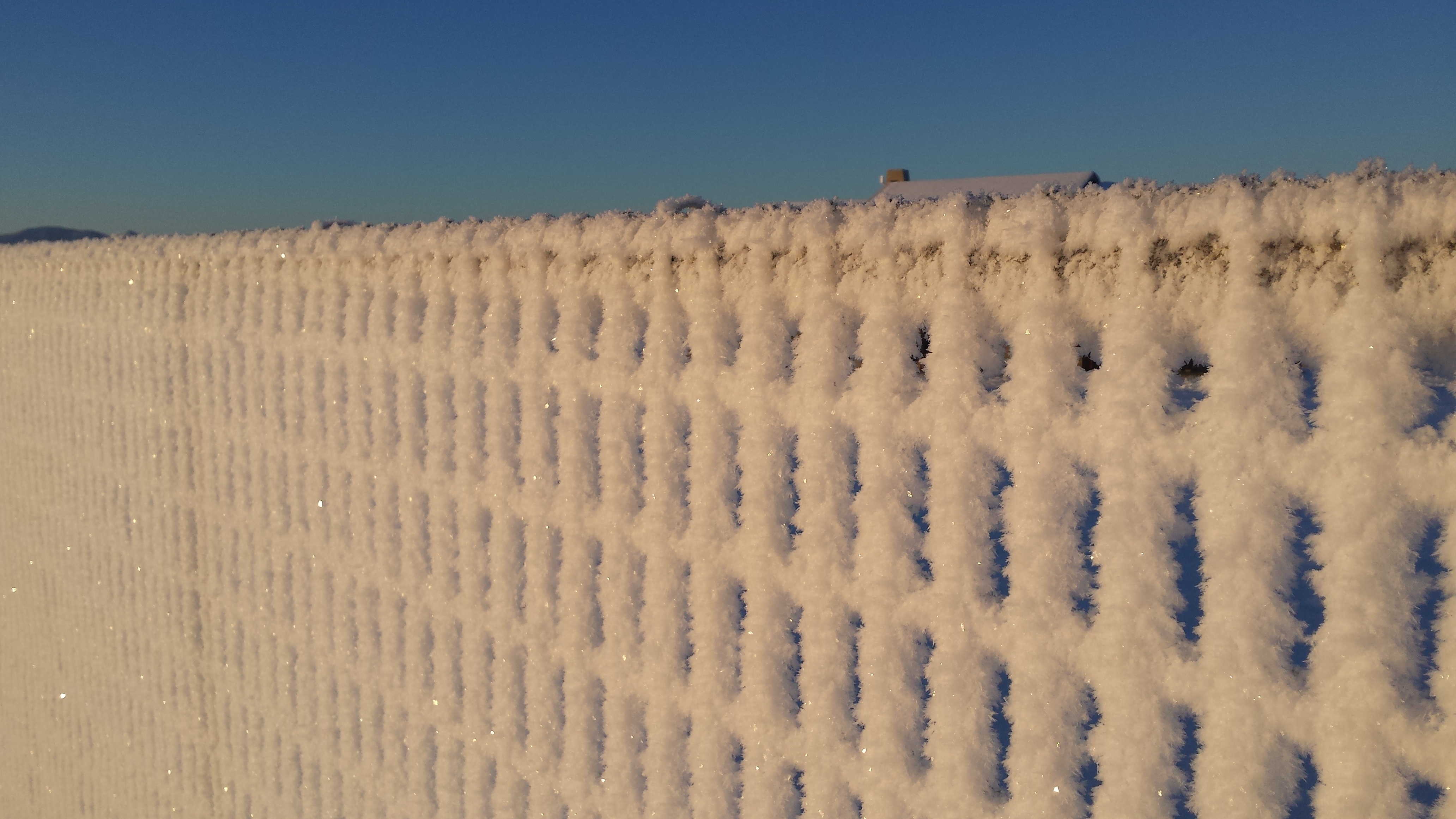 Snow Fence Winter free image download