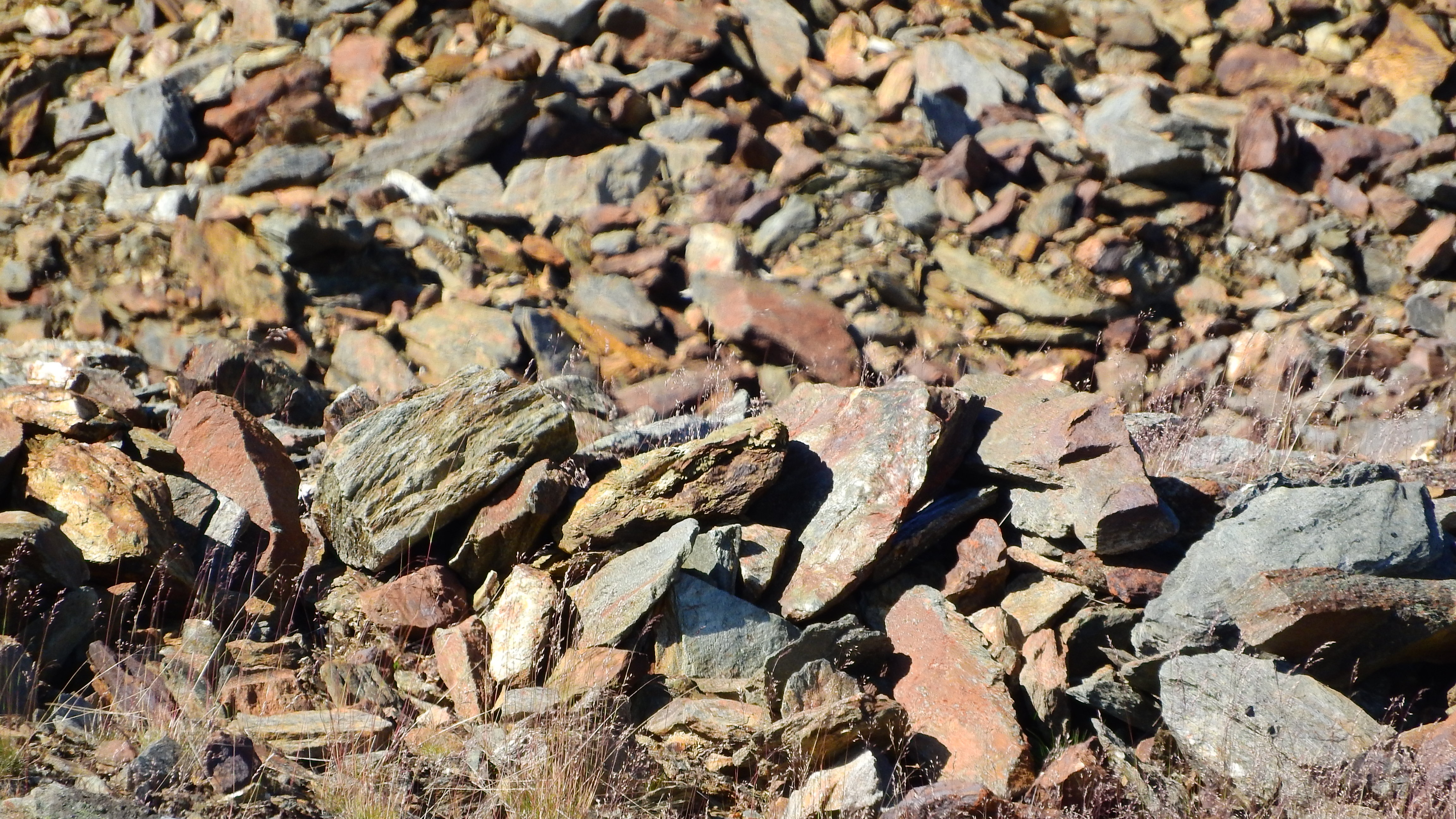 Copper Ore Stones The Heap free image download