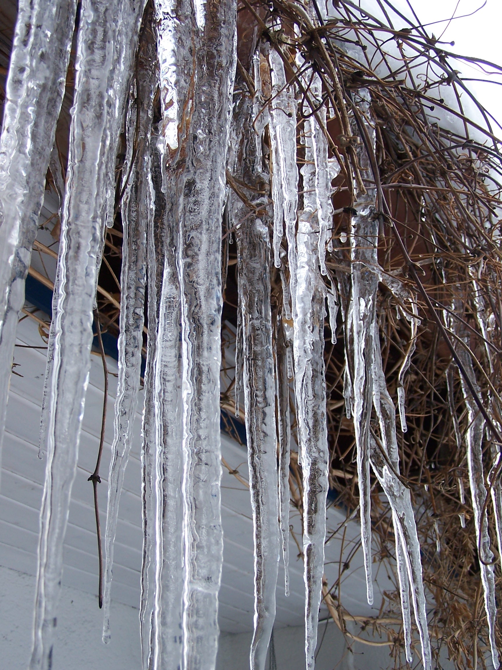 Icicle Winter Cold free image download