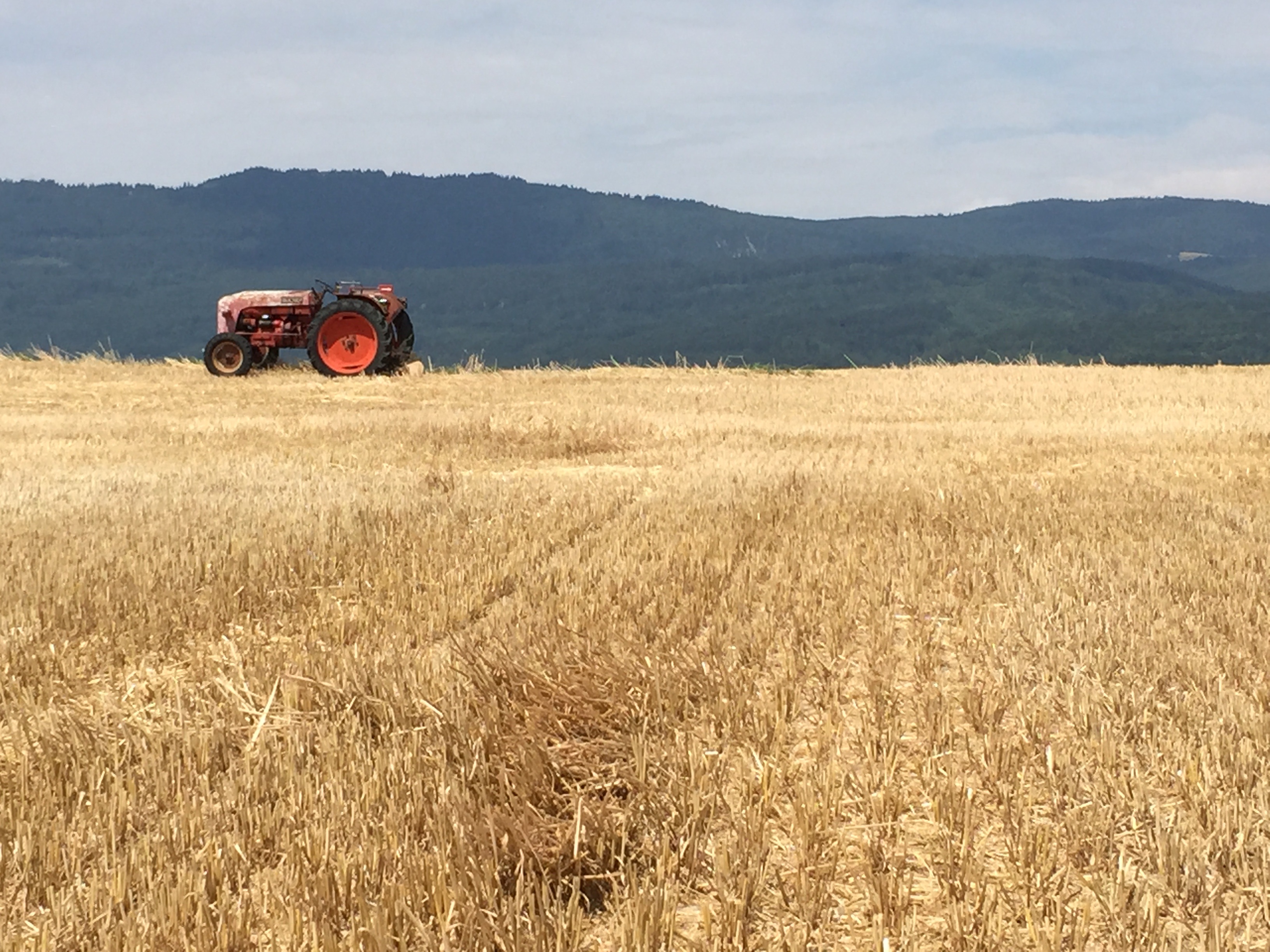 Tractor Sun free image download