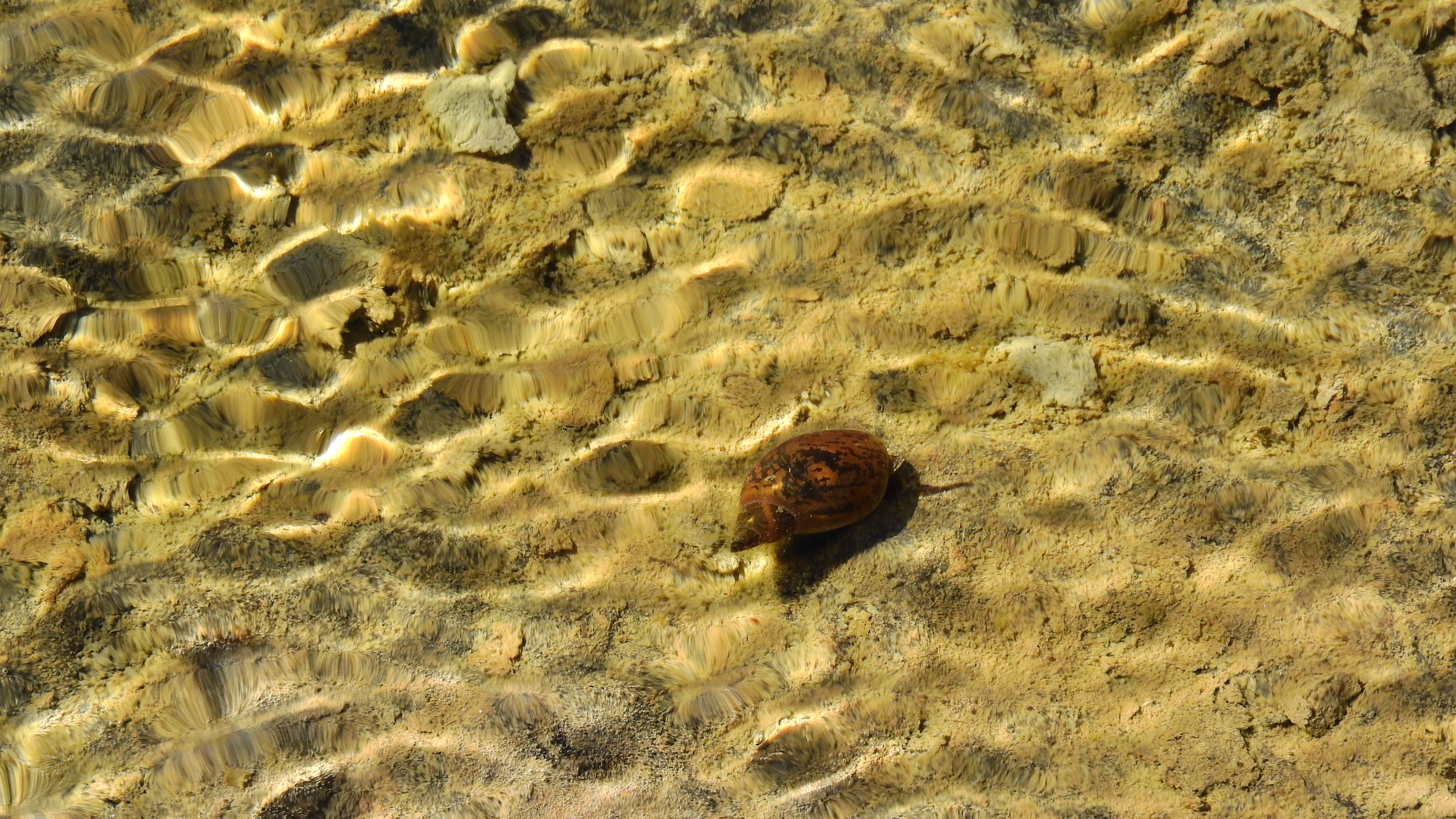Plovatka Aquatics Bank free image download