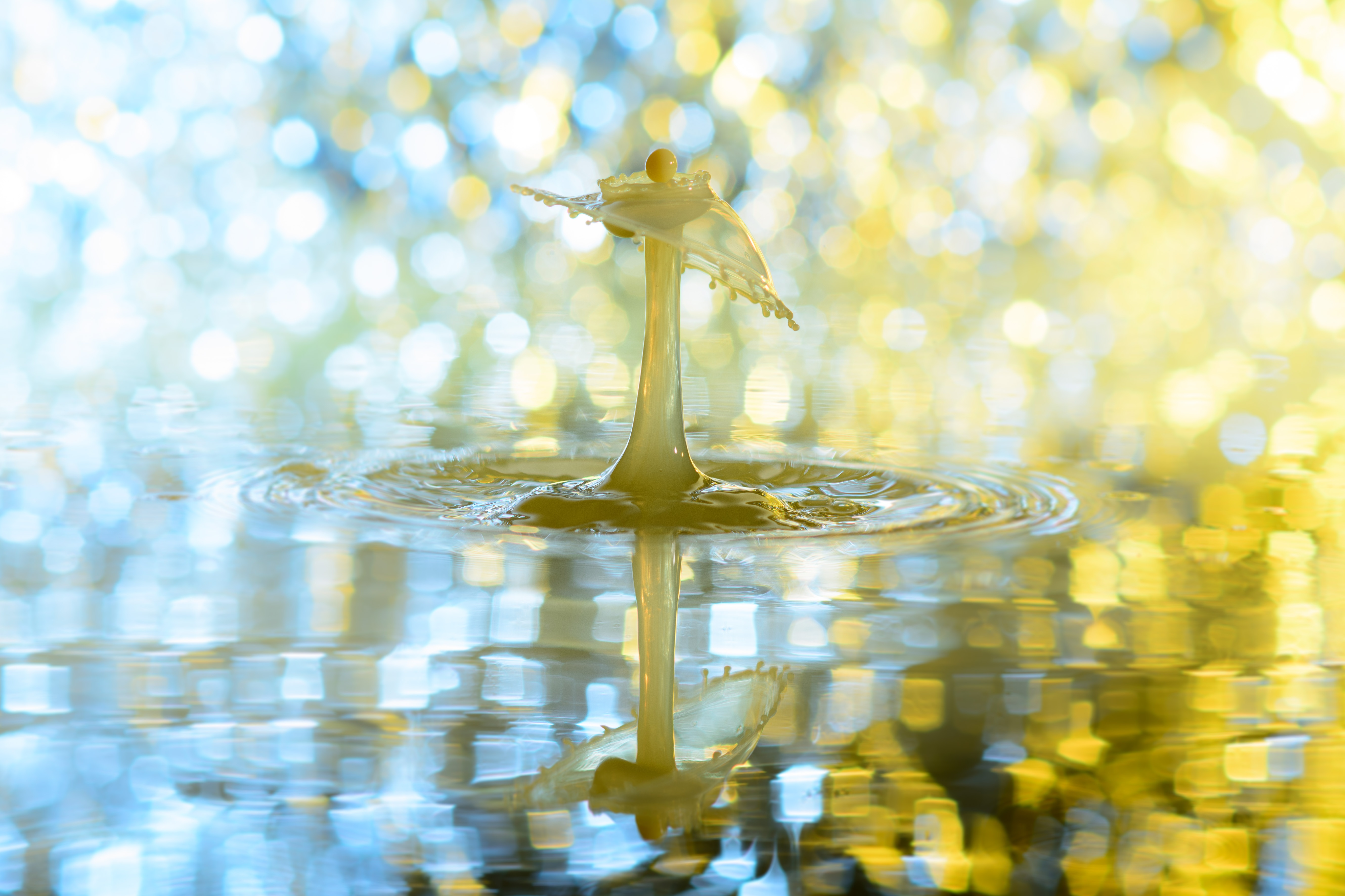 Drip Water Drop Of free image download