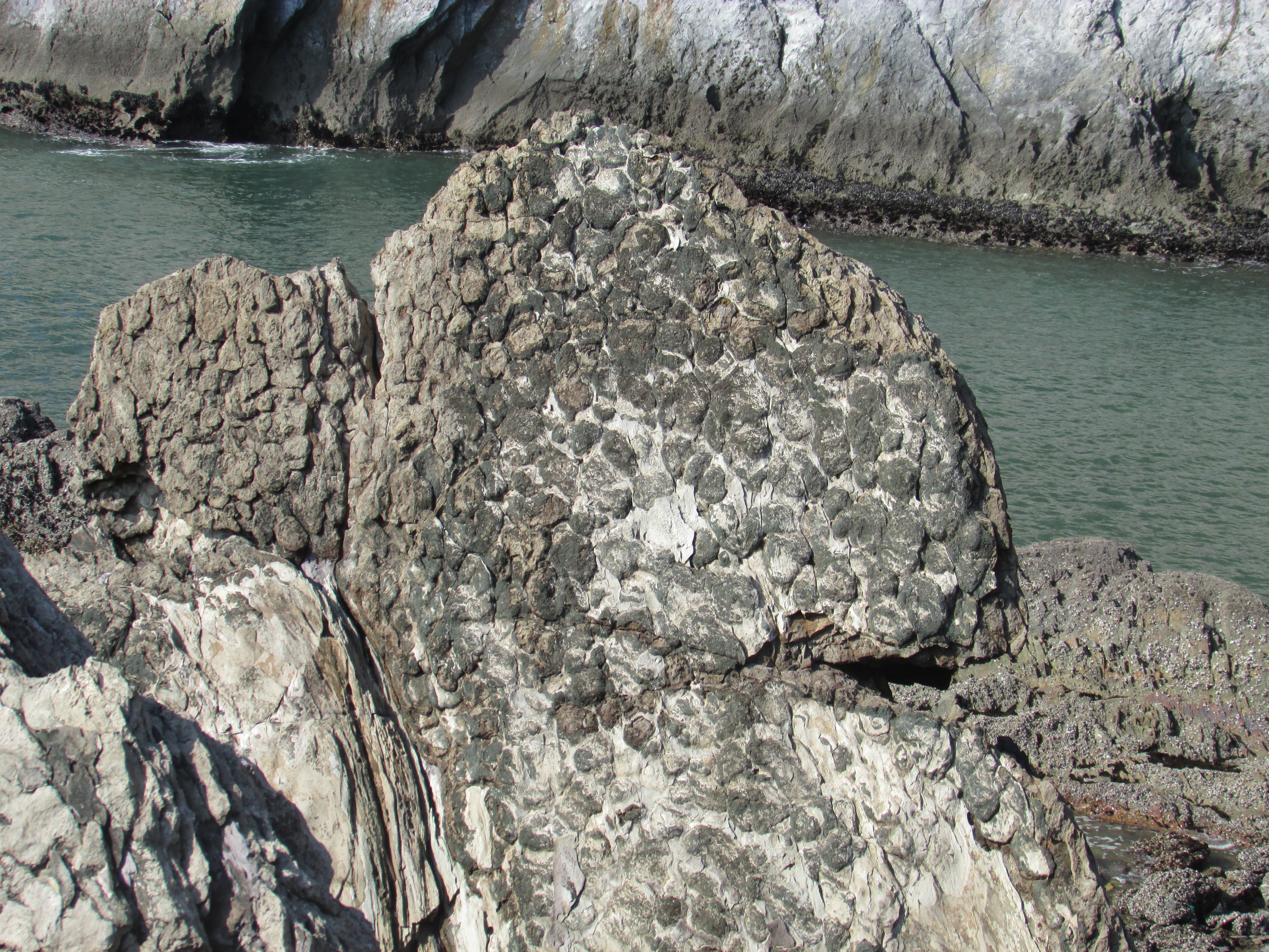Stromatolites Fossil Rock Blue free image download