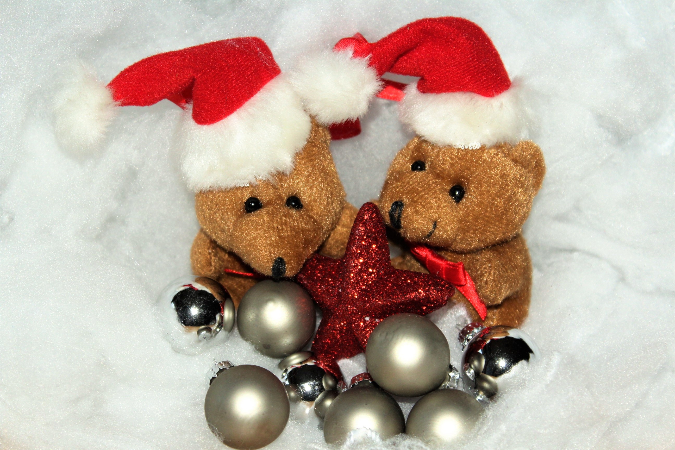 Christmas Bears decoration free image download