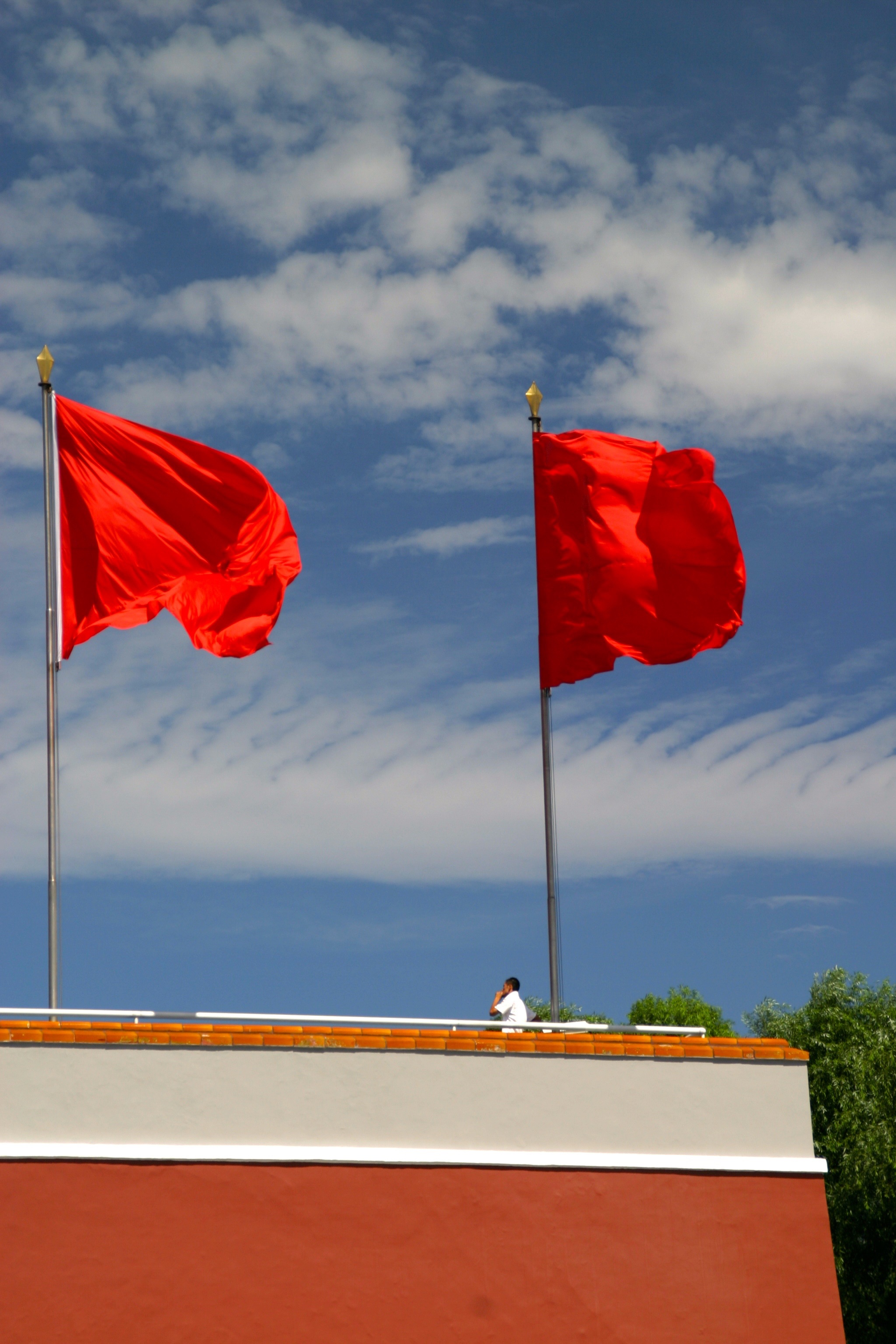 Red Flag Socialism free image download