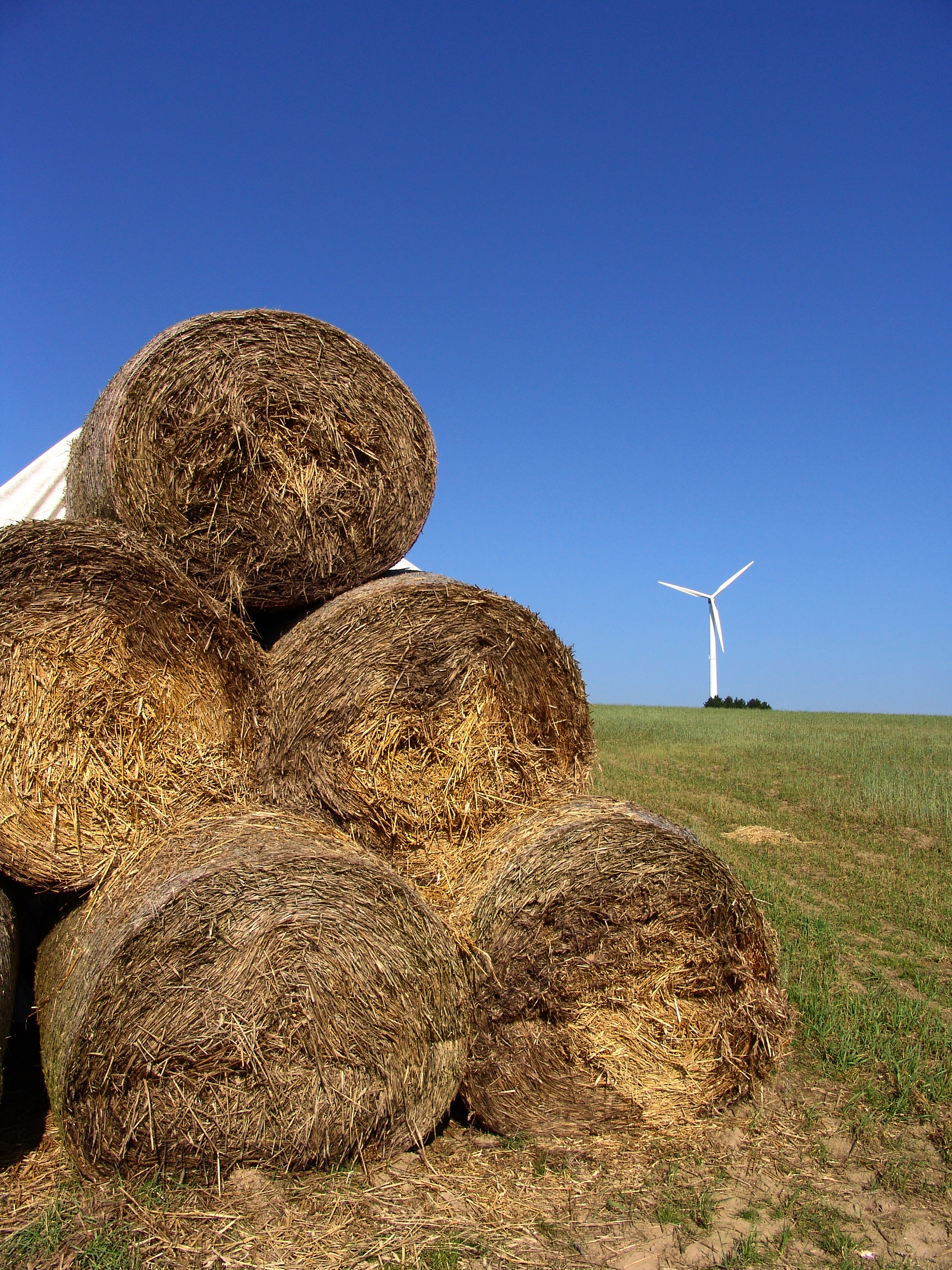 Straw Energy Revolution Pinwheel free image download