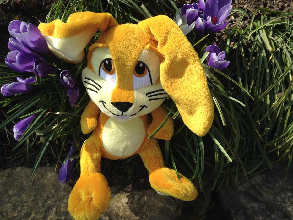 Easter Bunny Hare free image download