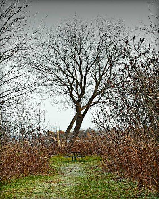 Midland Ontario Fall Scenery free image download