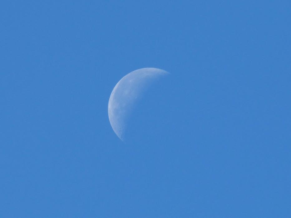 Moon Day Blue Sky free image download