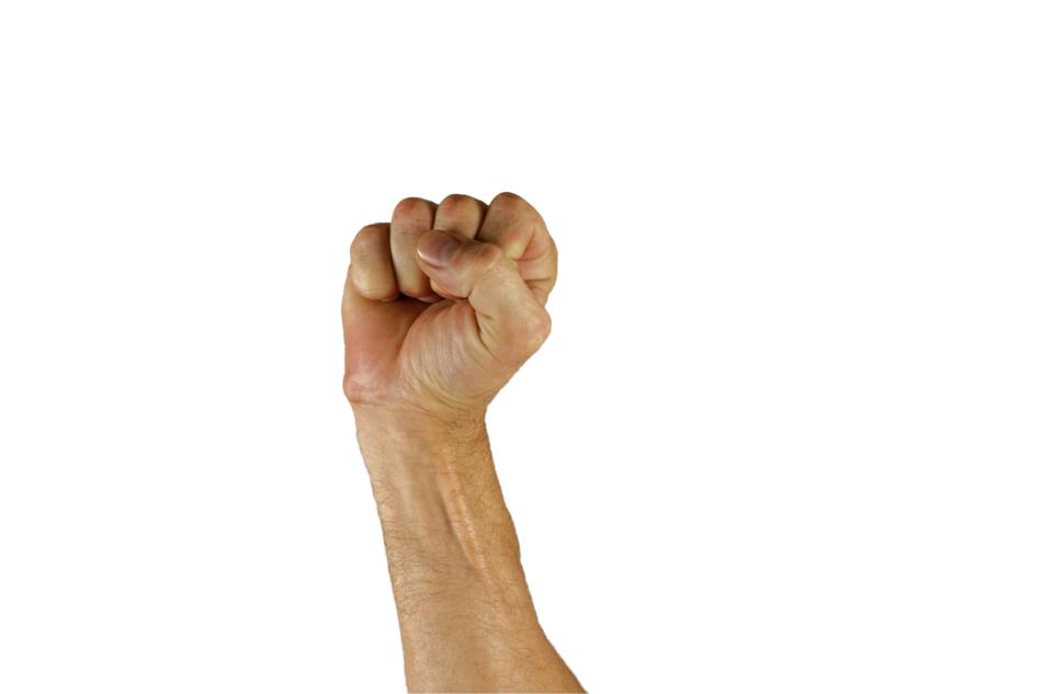 Male fist at white background, Sign Language free image download