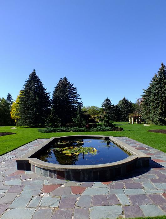 Pond Reflecting Pool in Park free image download
