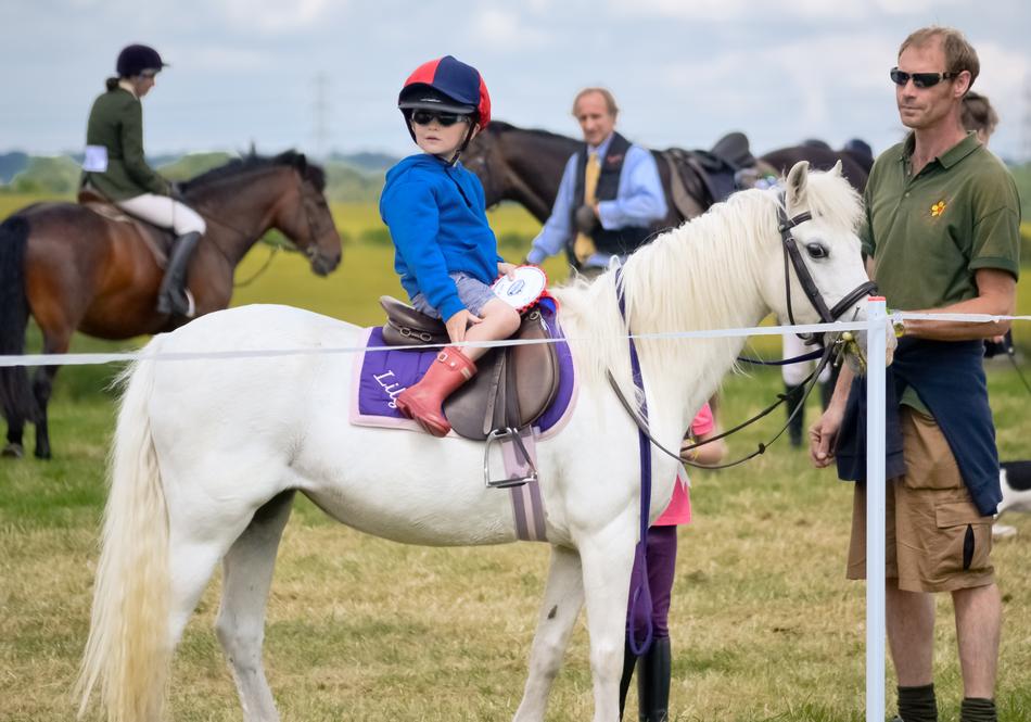 Horse Pony Show free image download