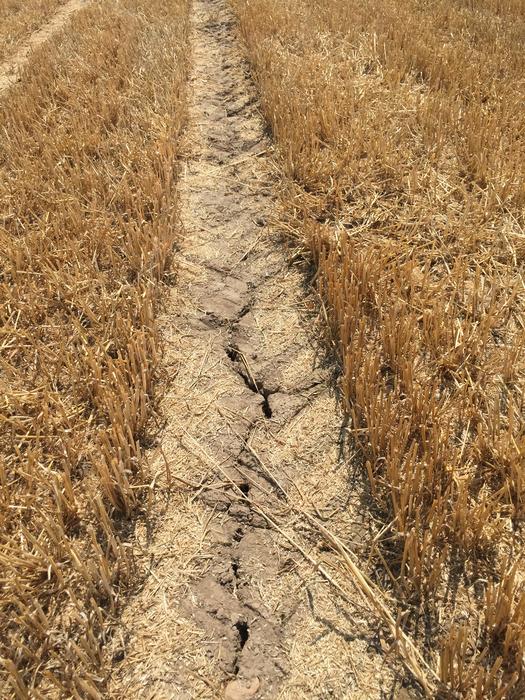 Dry Drought Field free image download
