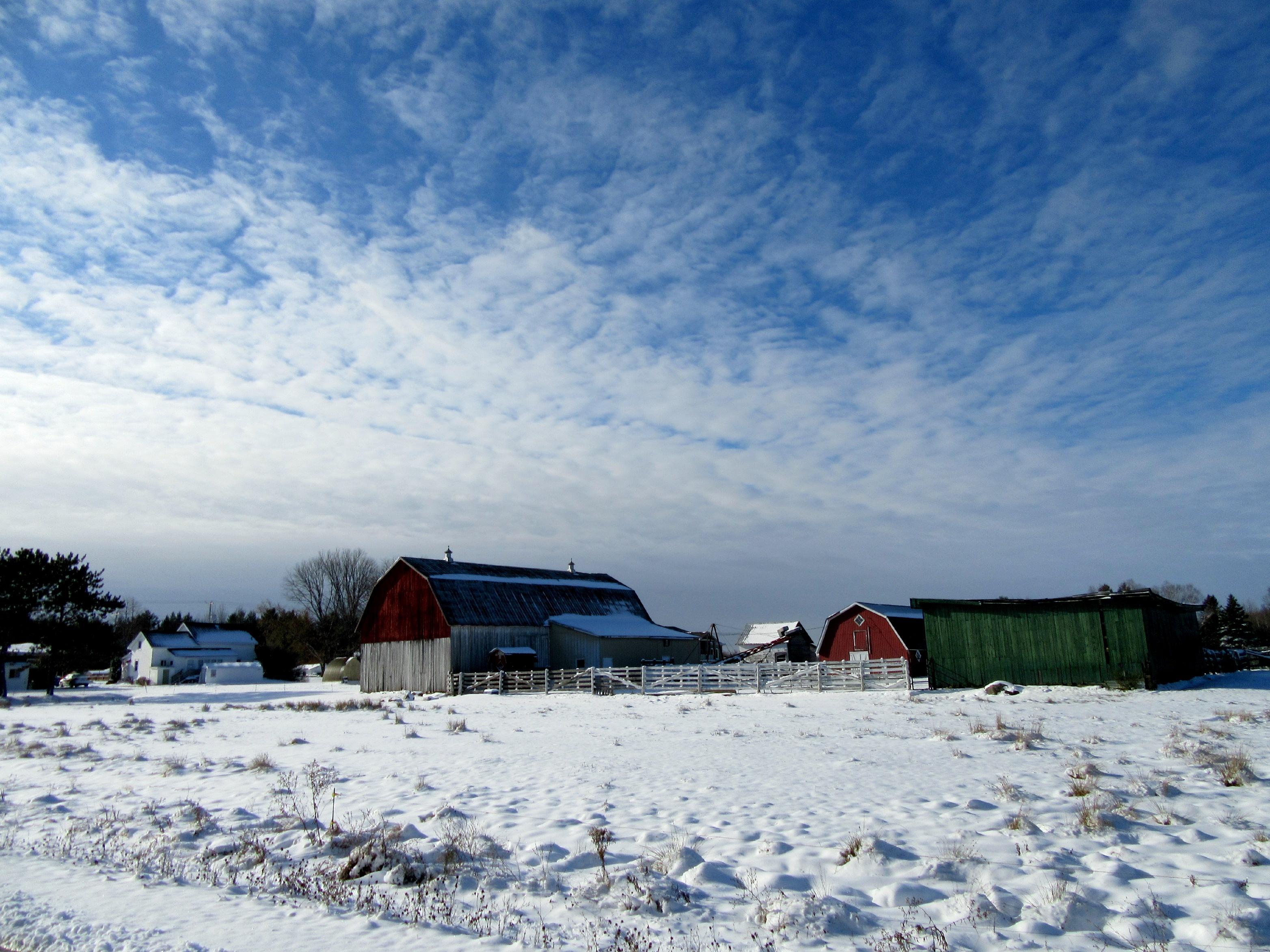 Farmland at winter, Rural landscape free image download