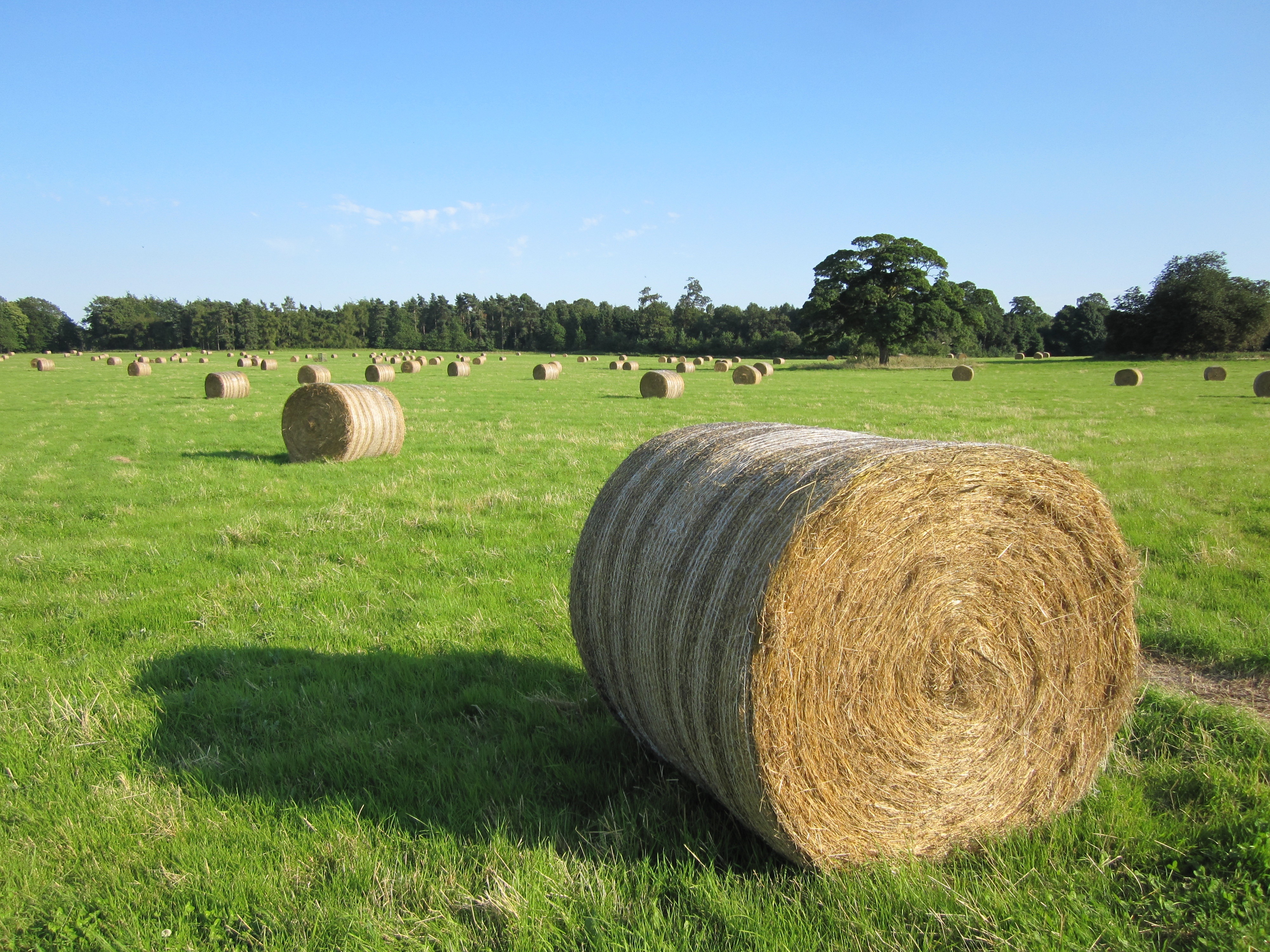 Hay Field Farming free image download