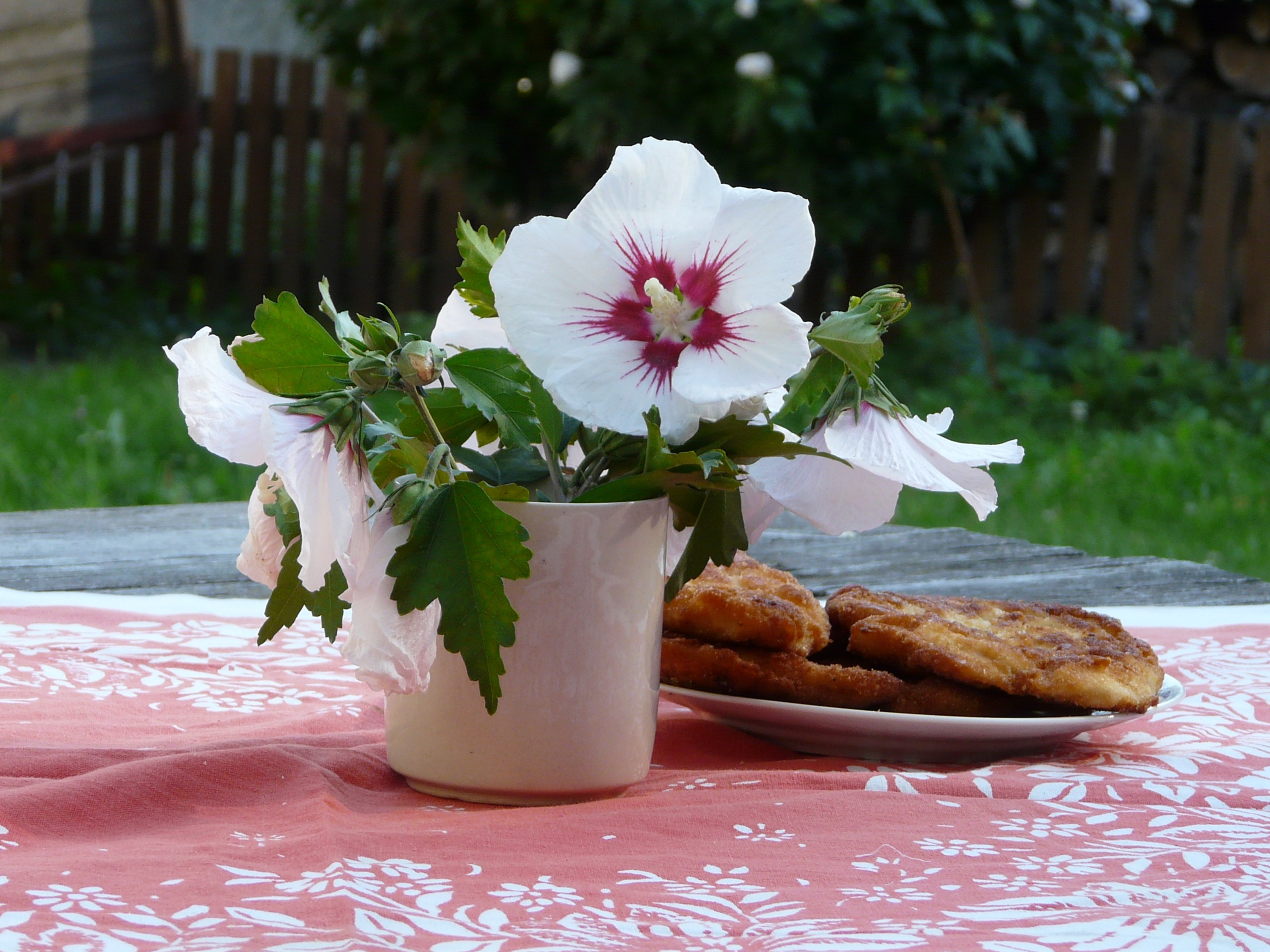 Countryside Lunch at Summer free image download