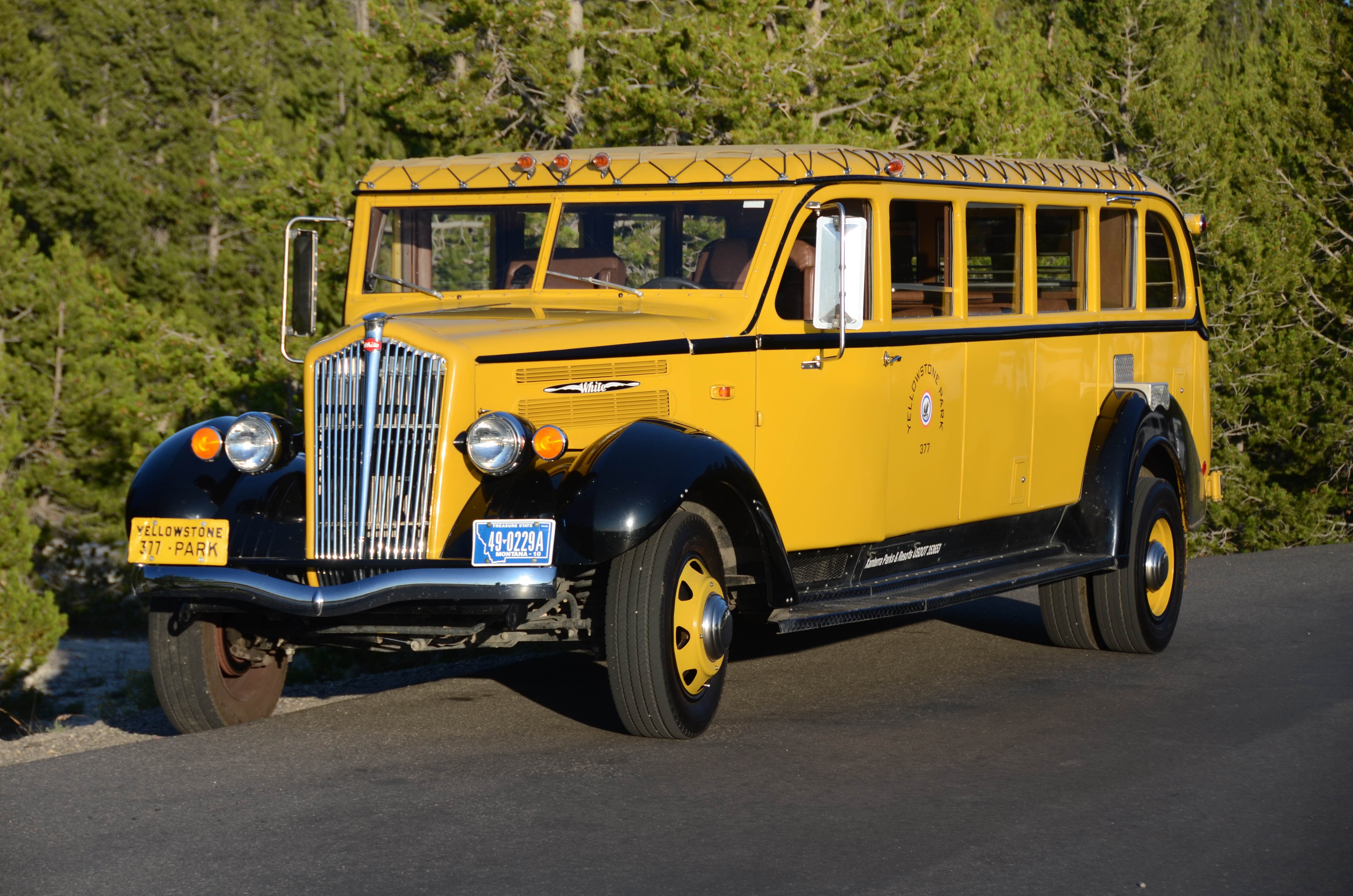 Bus Yellowstone Jammer National free image download