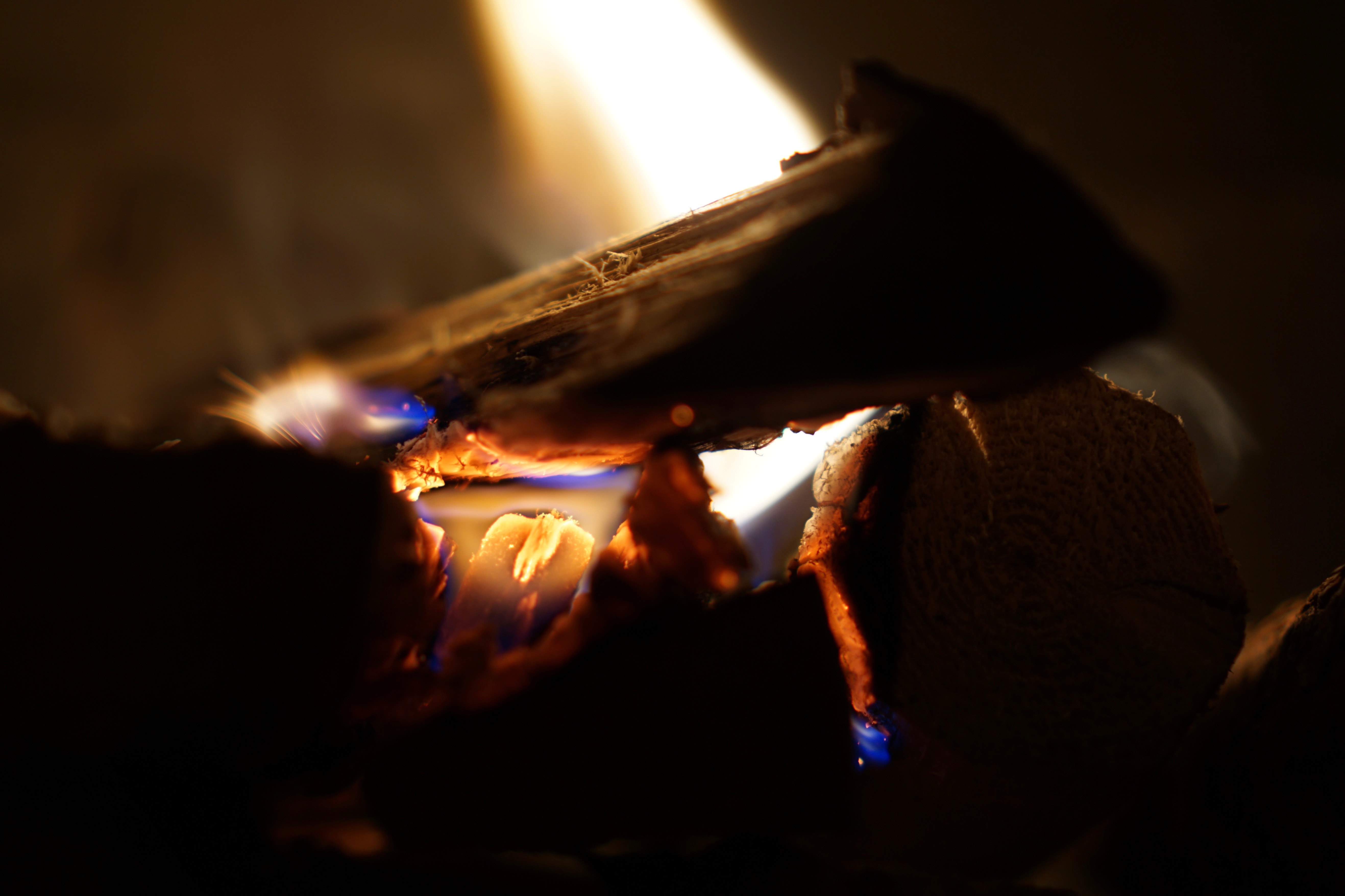 Fire Log Burn free image download