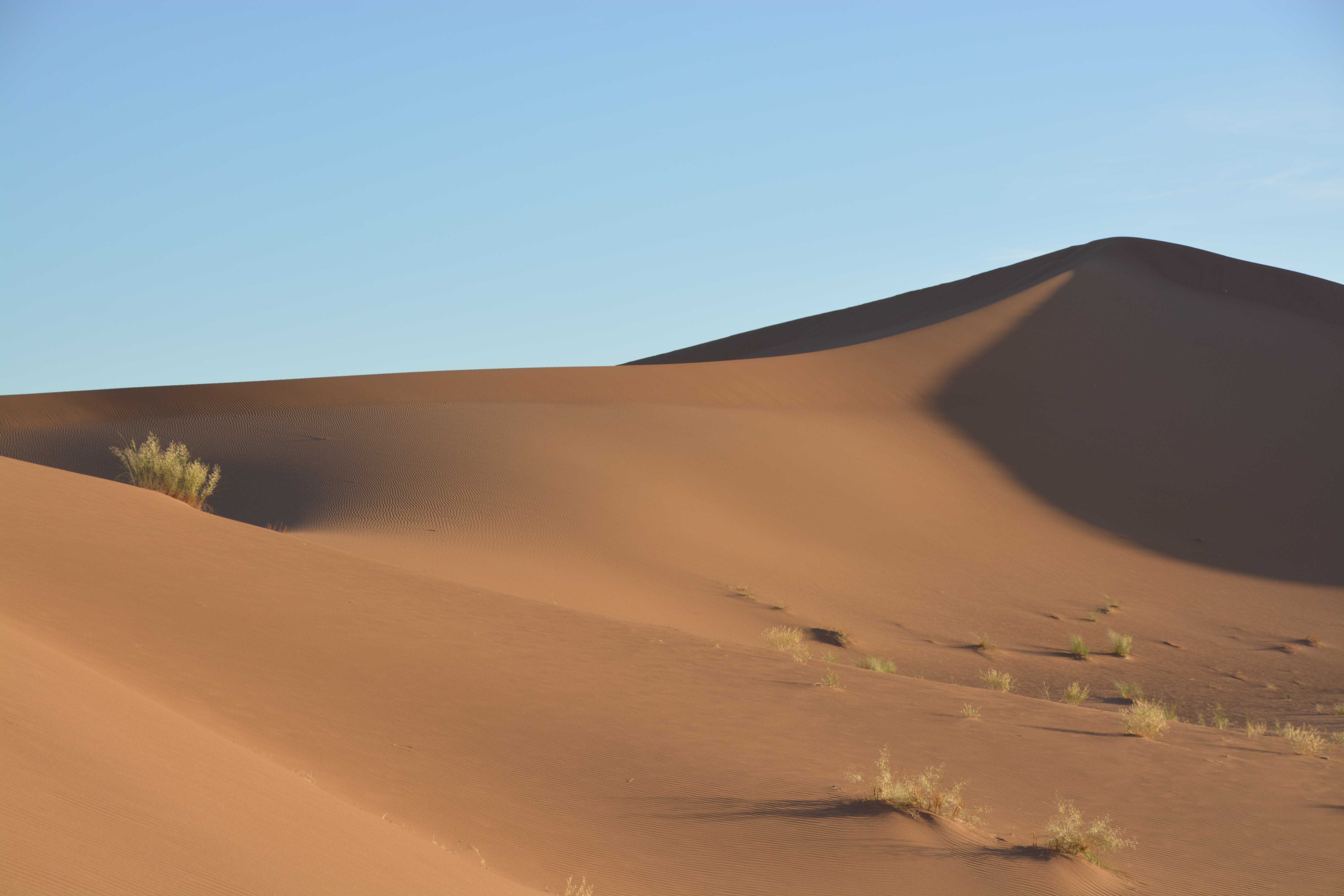 Sahara Sand free image download