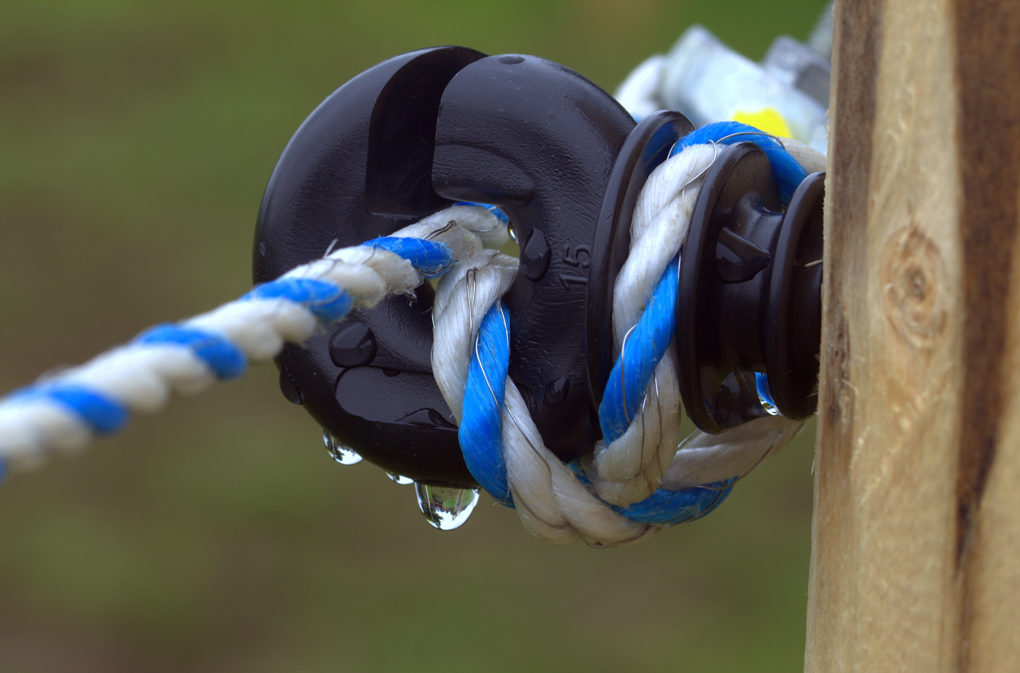 Wicker Fence Mount Plastic free image download