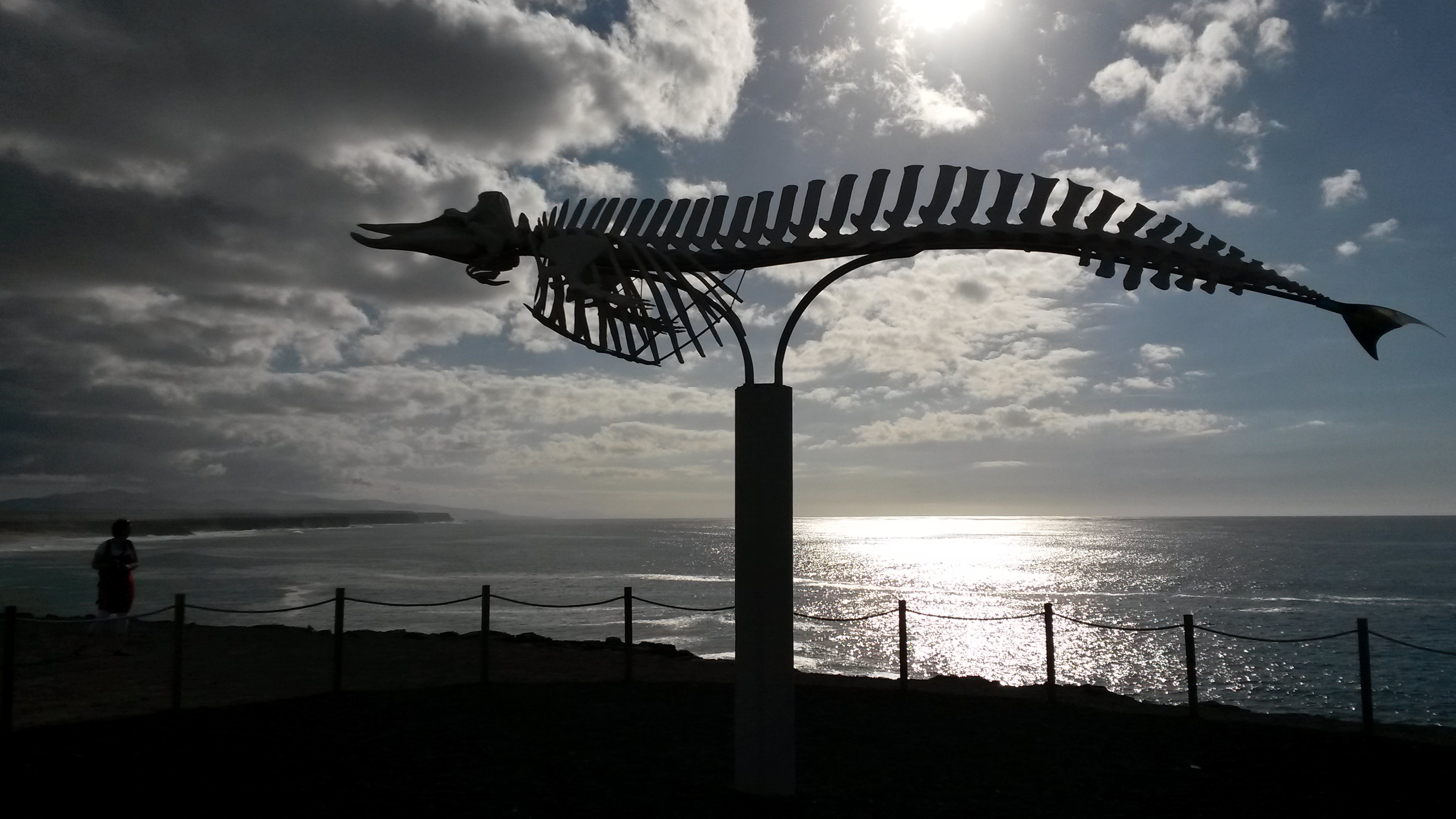 Iron sculpture of a fish against the sea free image download