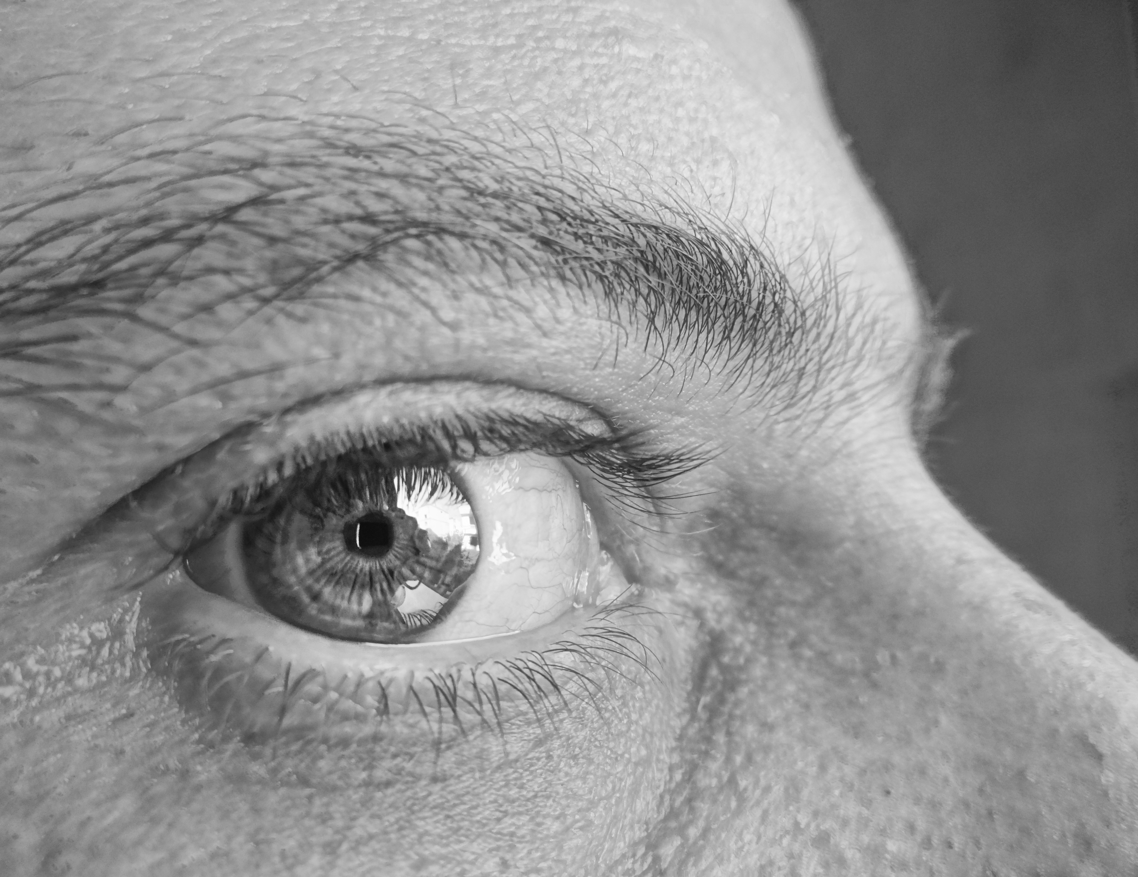 Œil Eyes View free image download