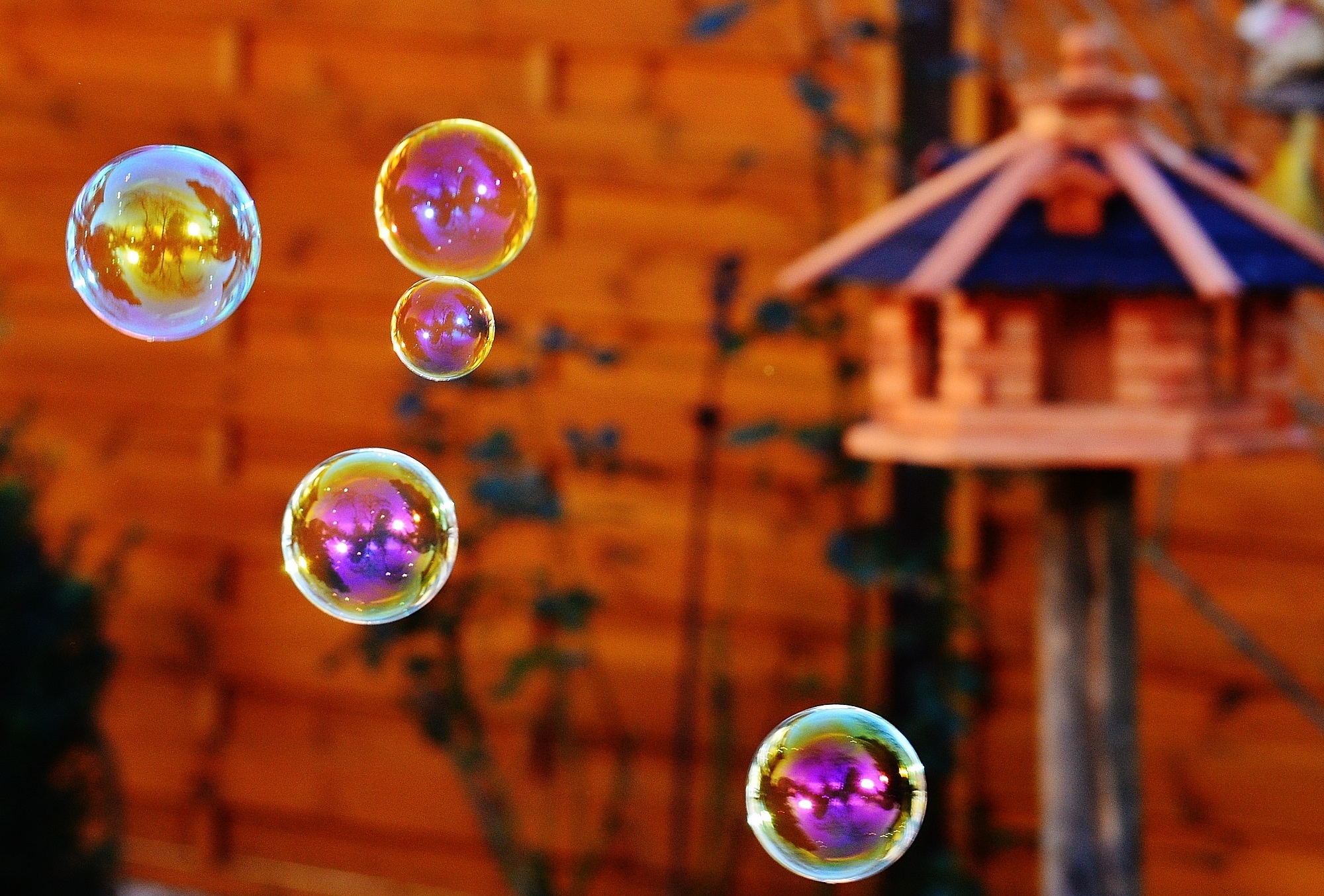 Soap Bubbles Colorful Balls Soapy free image download