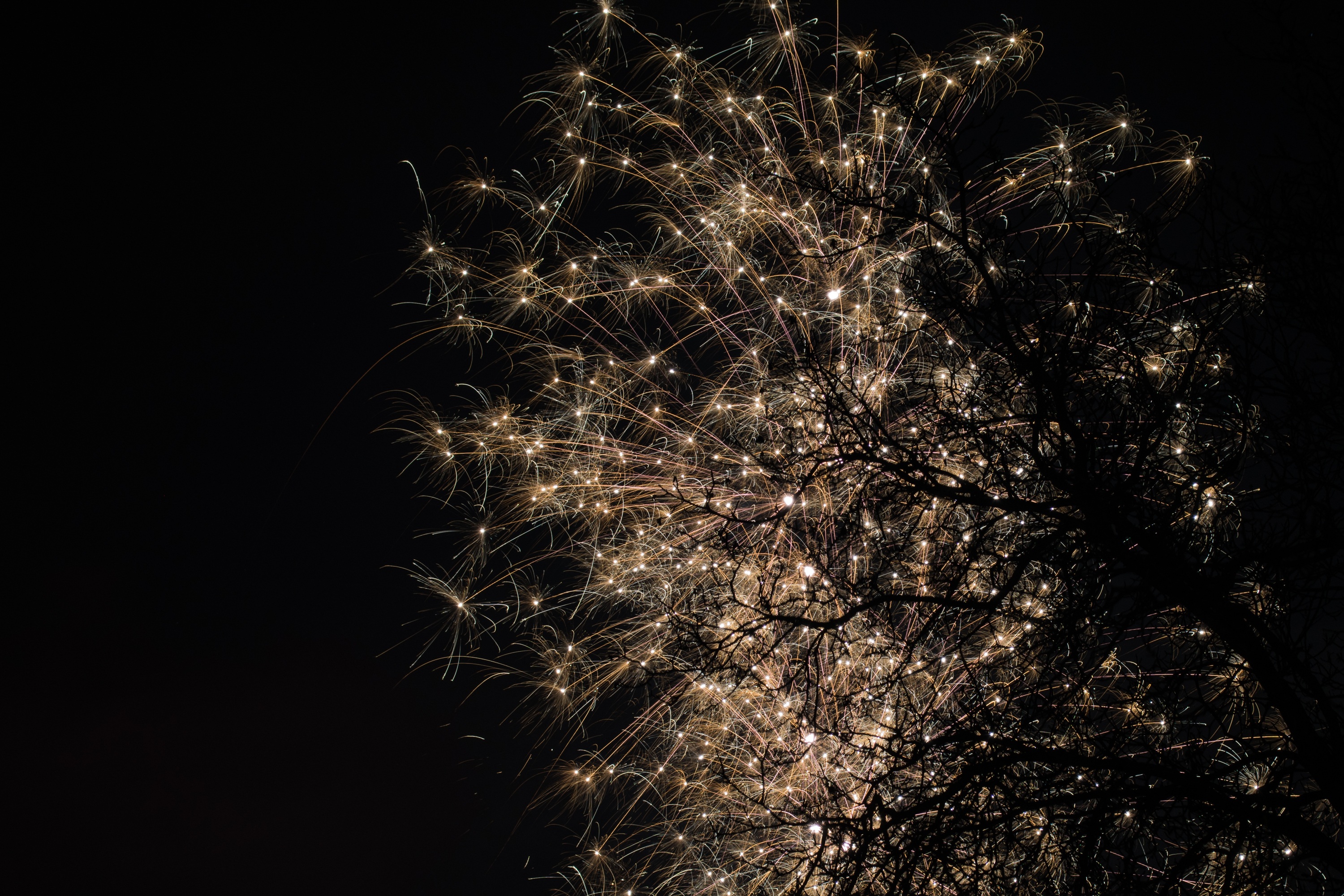 Fireworks Rocket New Year'S Eve free image download